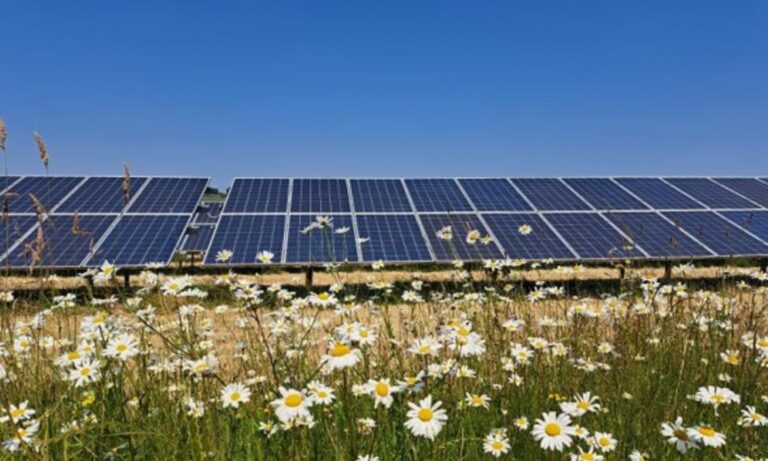 Dozens of residents object to 236-acre Angus solar farm