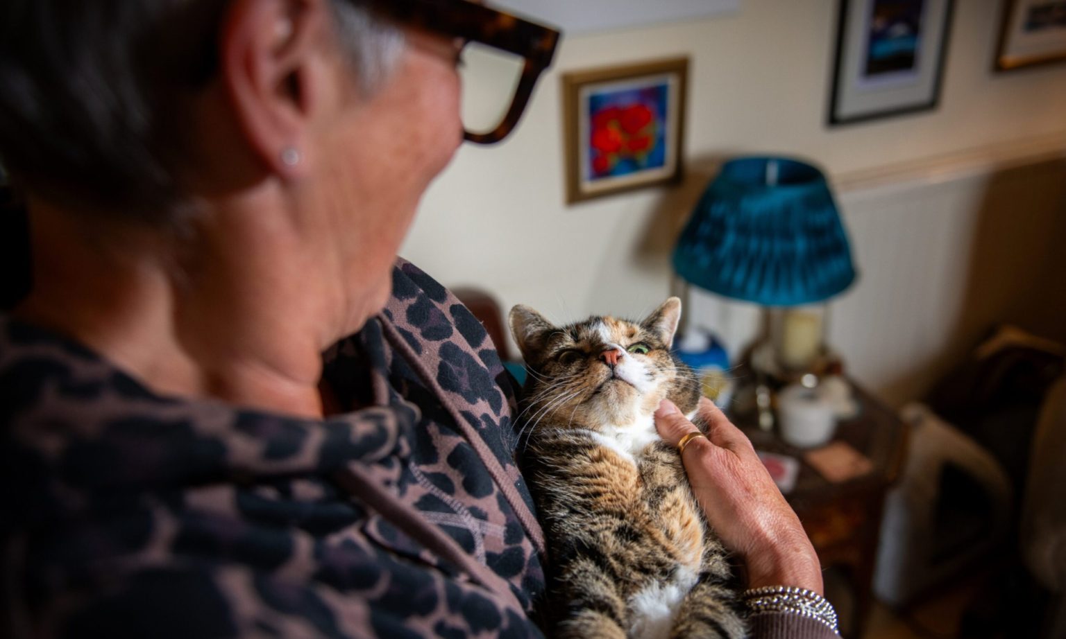 Pet Tales: Why I couldn't leave runt of the litter Piggle behind