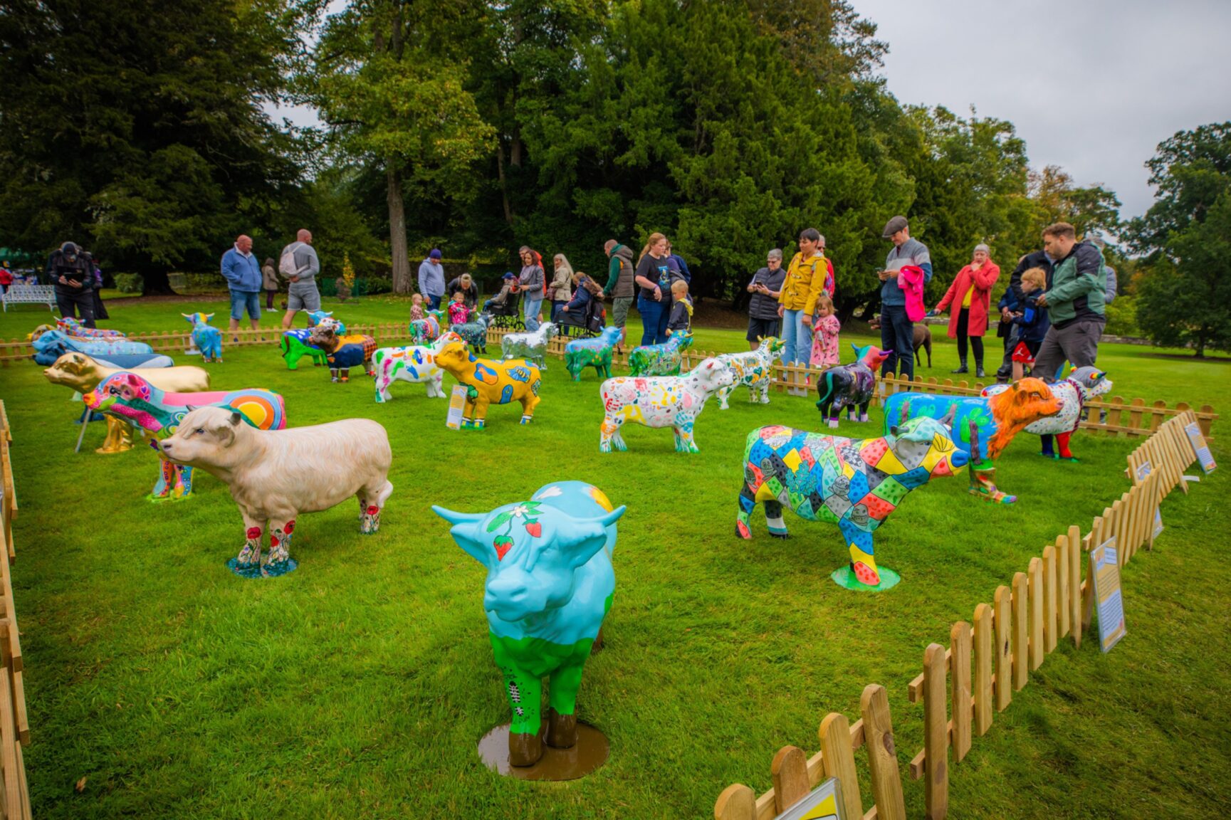 Hairy Highland Coo Trail: Scone farewell for CHAS sculptures