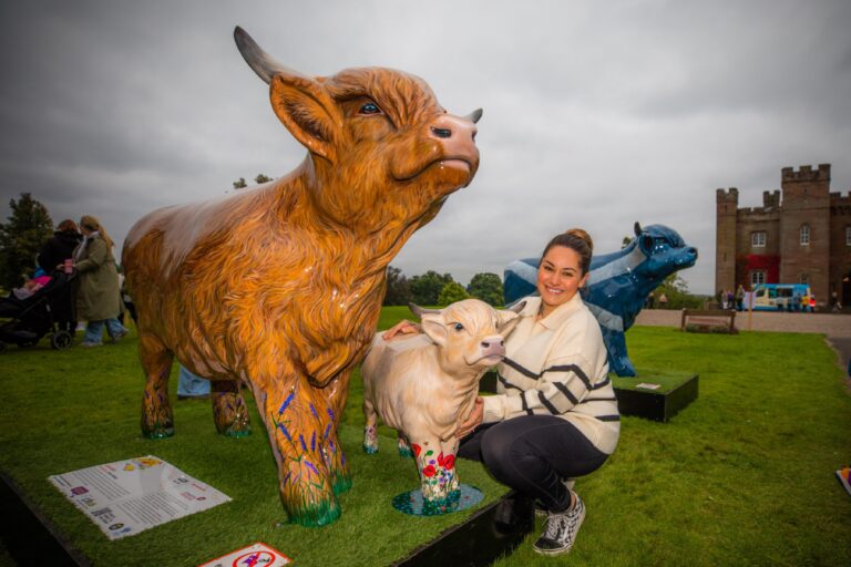 Hairy Highland Coo Trail: Scone farewell for CHAS sculptures