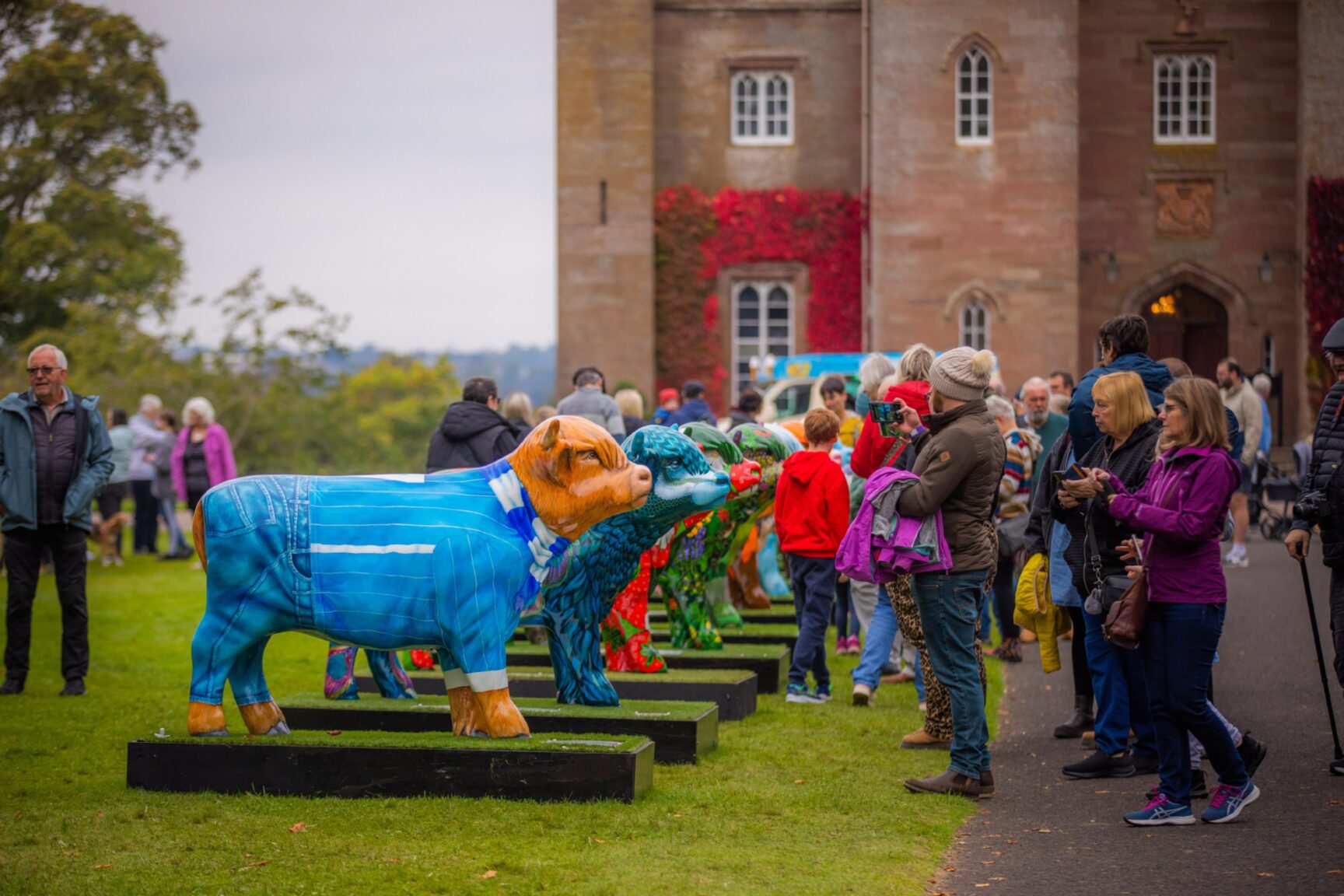 Hairy Highland Coo Trail: Scone farewell for CHAS sculptures
