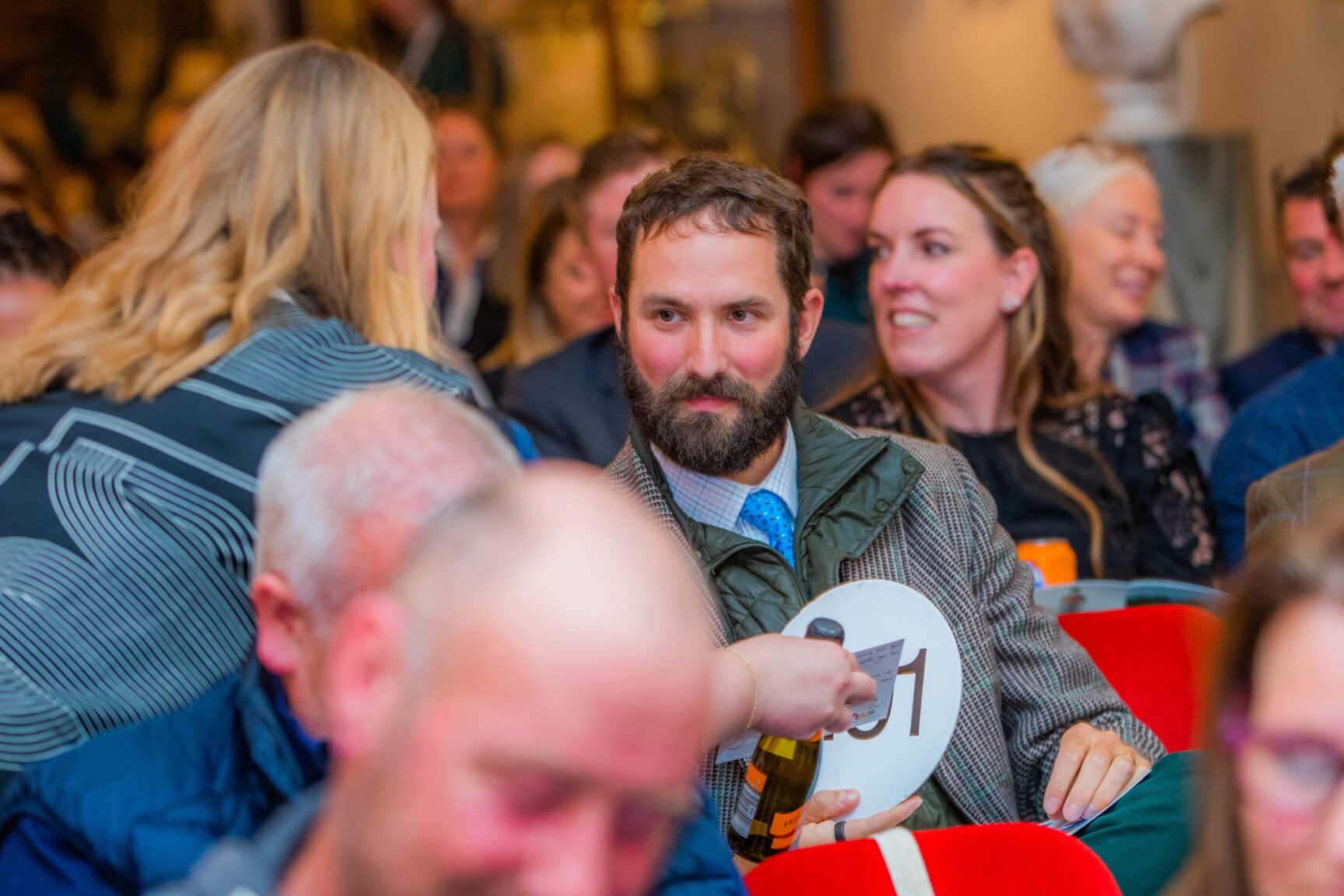 Hairy Highland Coo auction nets £272k for CHAS