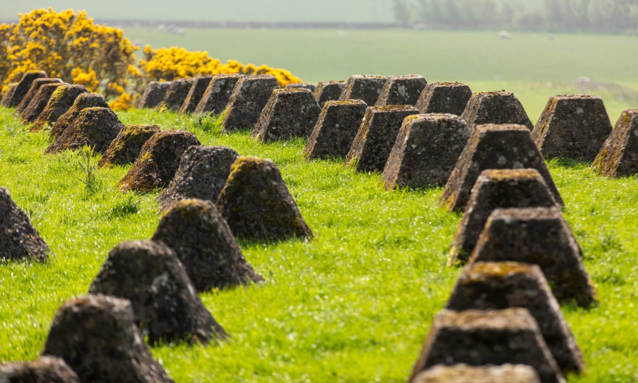 What's the significance of Collessie's ‘Dragon’s Teeth’ in Fife?