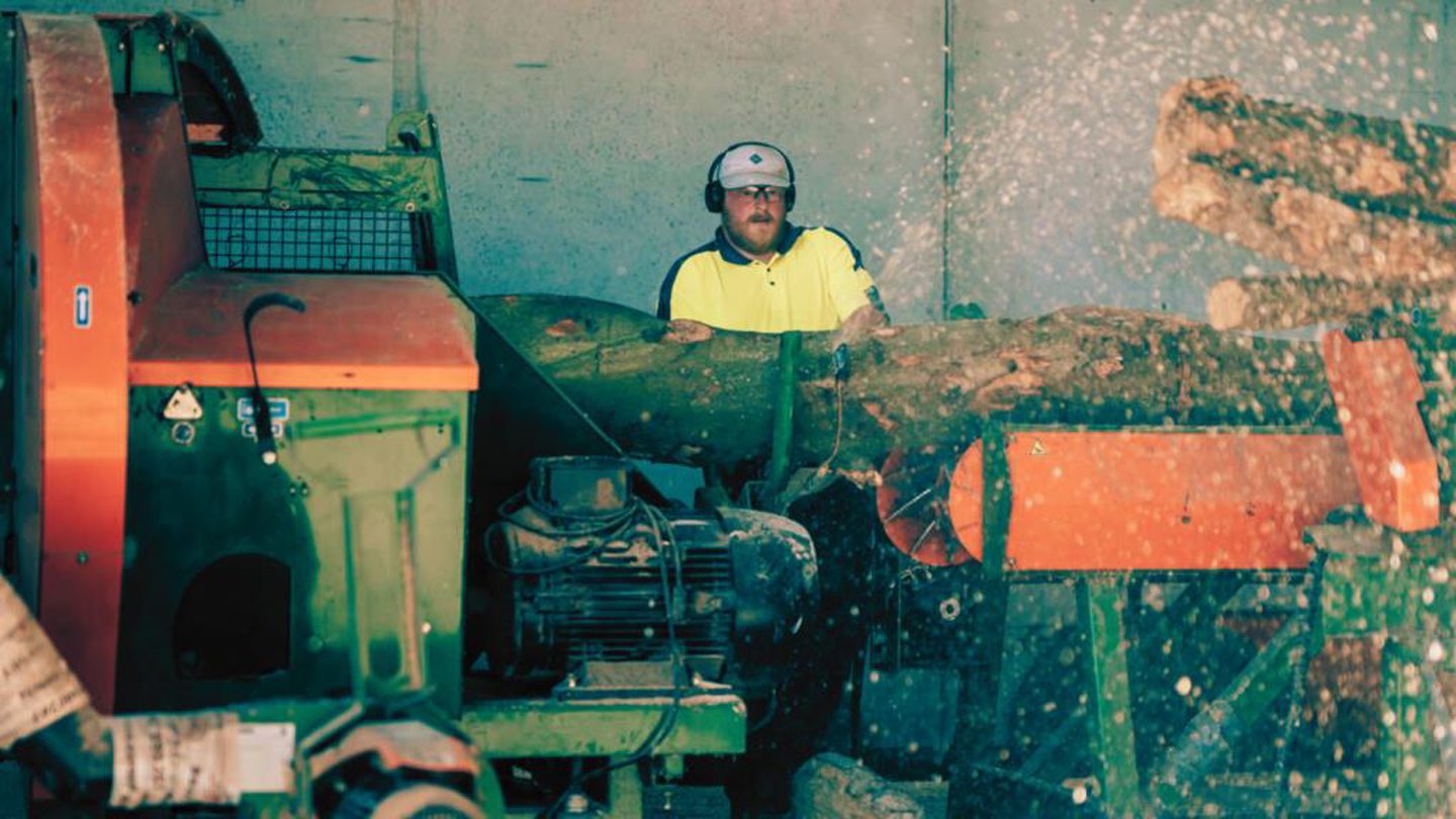 Angus fuel provider's OAP wood discount after winter payment cut