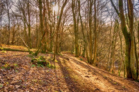 12 Stunning Walks Near Stirling to Explore Year-Round