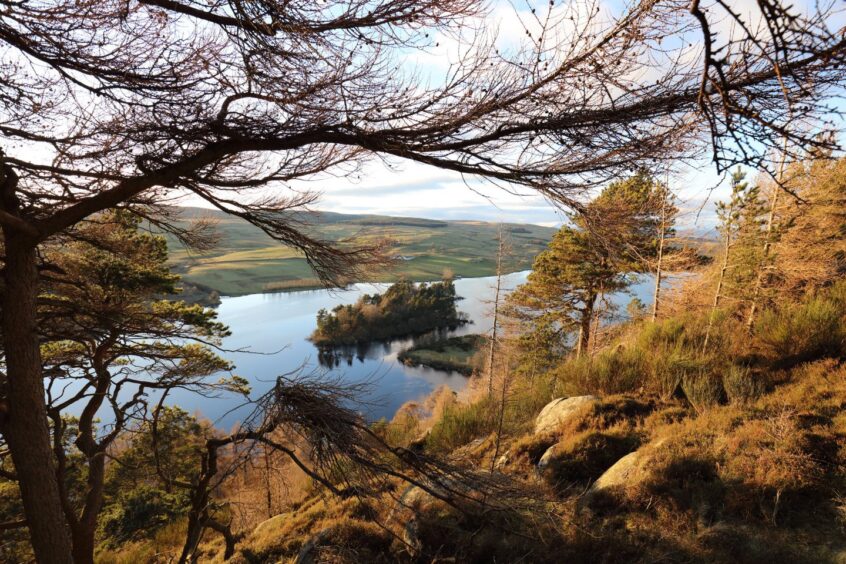 12 Stunning Walks Near Stirling to Explore Year-Round