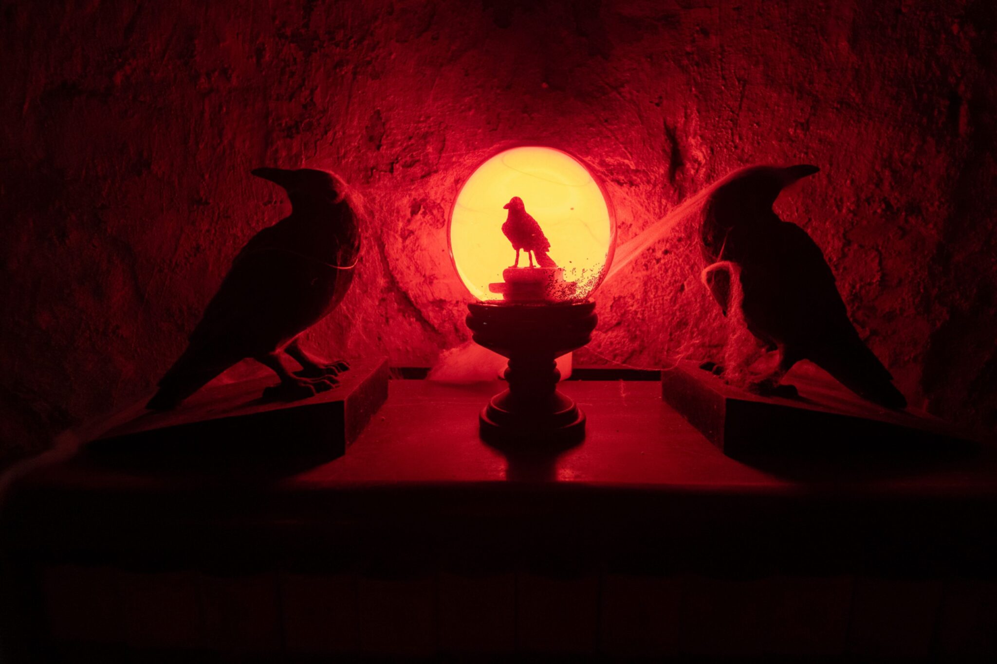 Exploring Dundee's underground vaults