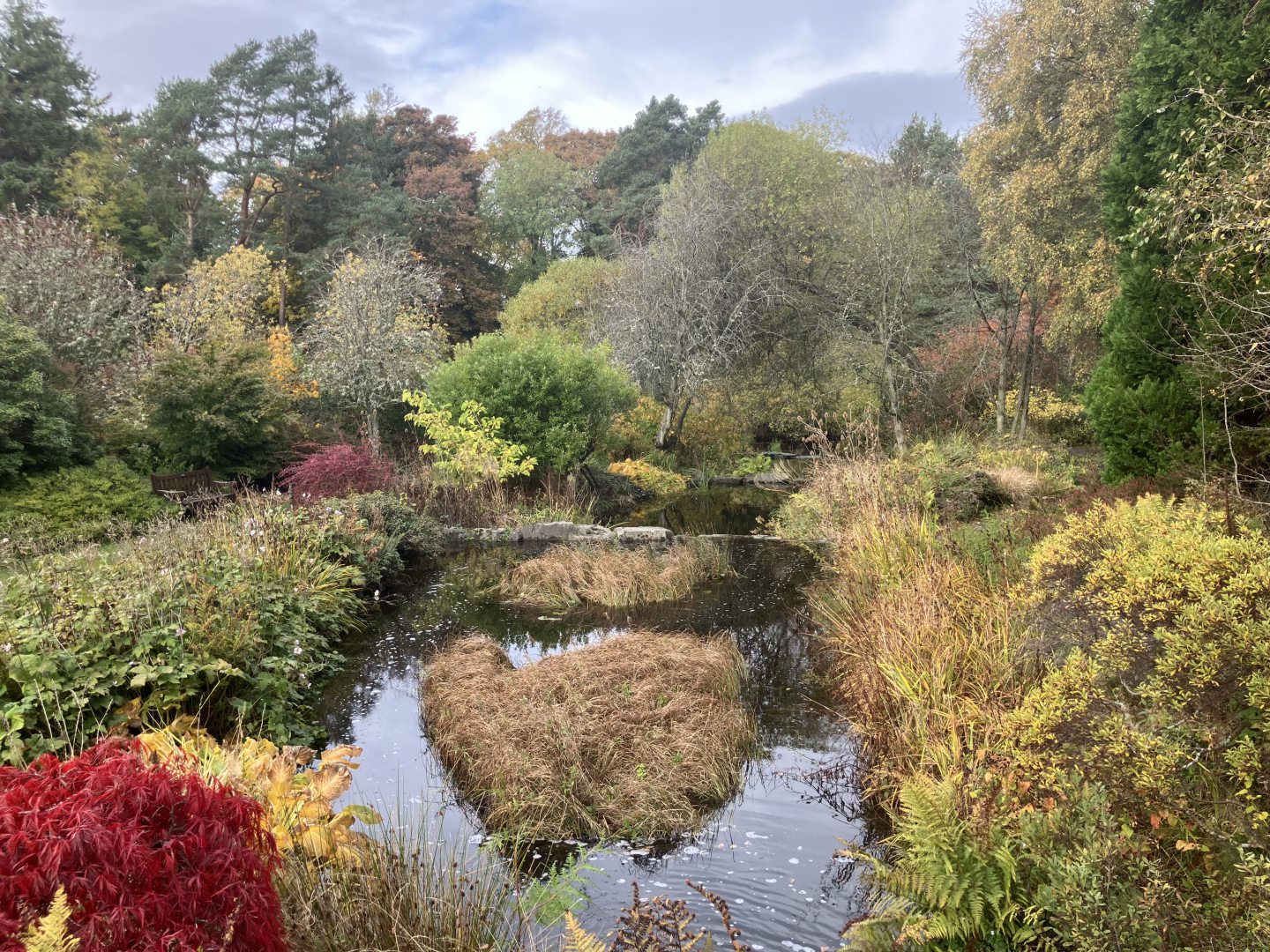 How The St Andrews Botanic Garden Is Fighting Climate Change
