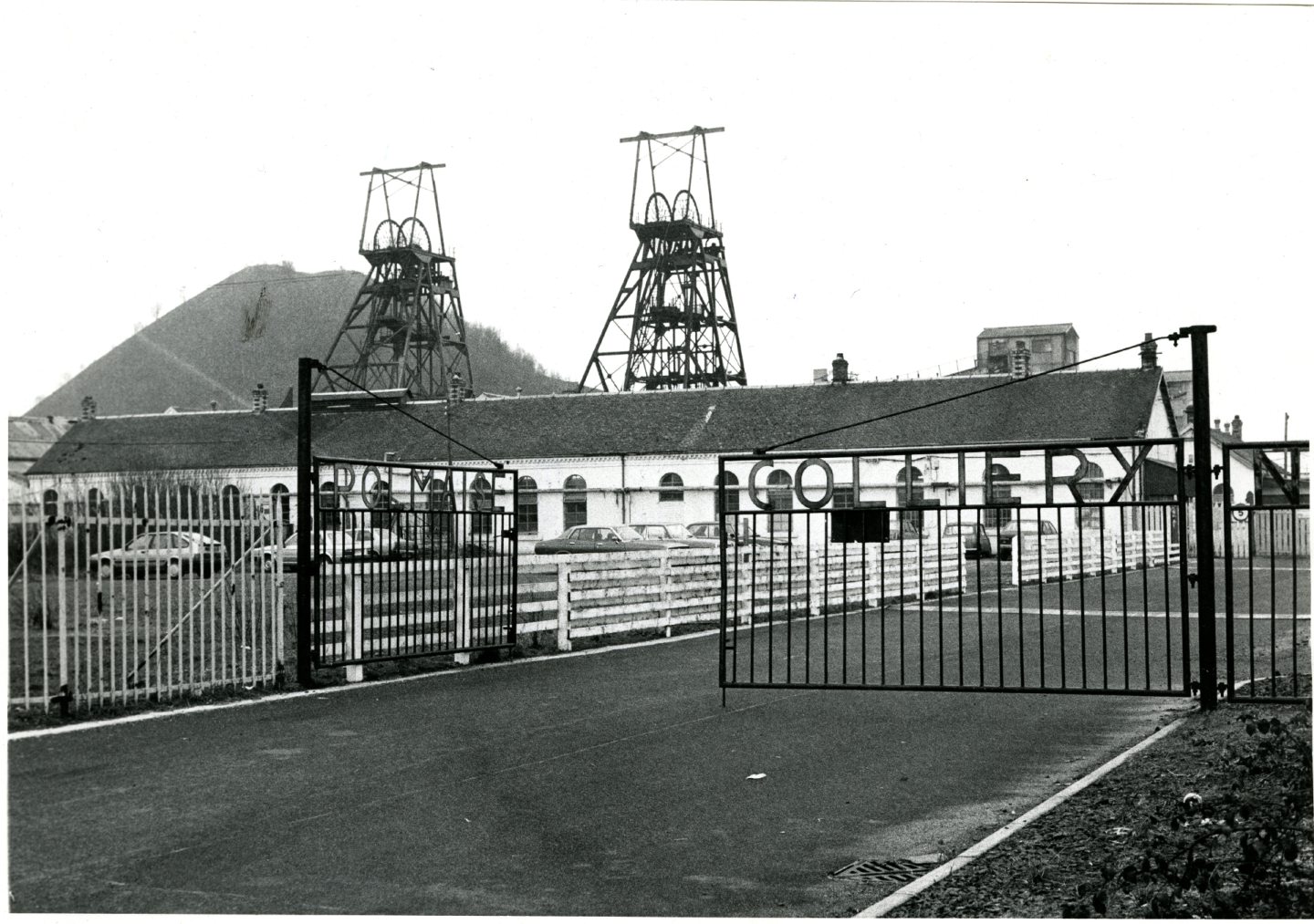 Fallin Stirling: A local’s guide to 5 of the best things about the village