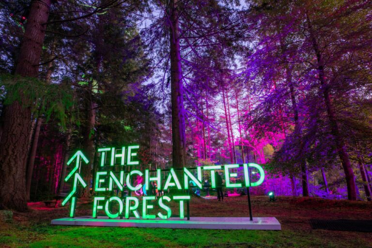 Pitlochry's Enchanted Forest: My sneak peek ahead of big opening - The Courier