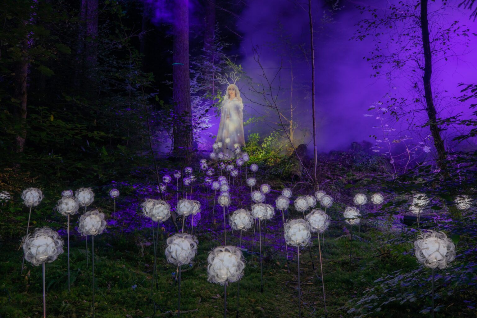 Pitlochry's Enchanted Forest: My sneak peek ahead of big opening - The ...