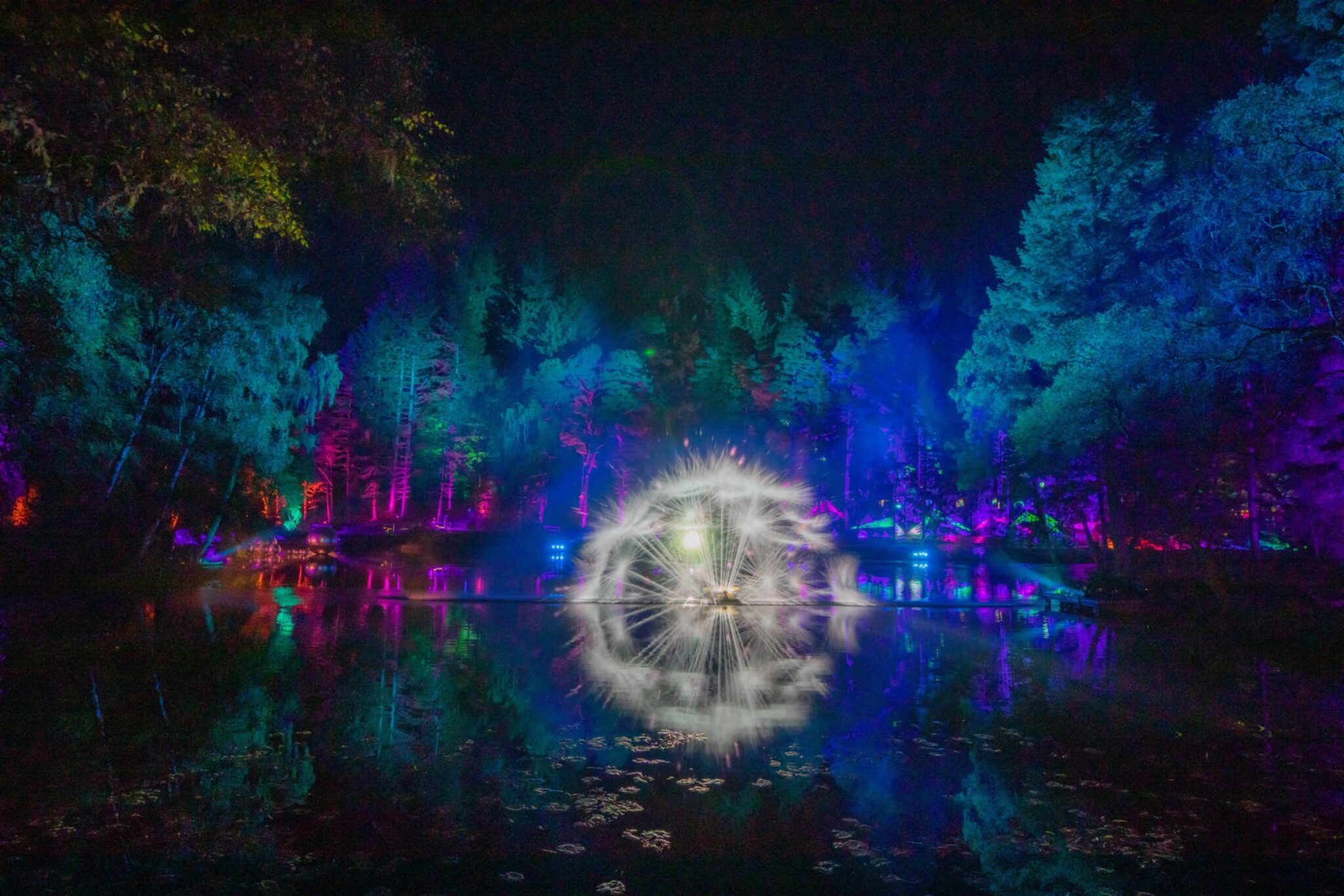 Pitlochry's Enchanted Forest: My sneak peek ahead of big opening - The ...