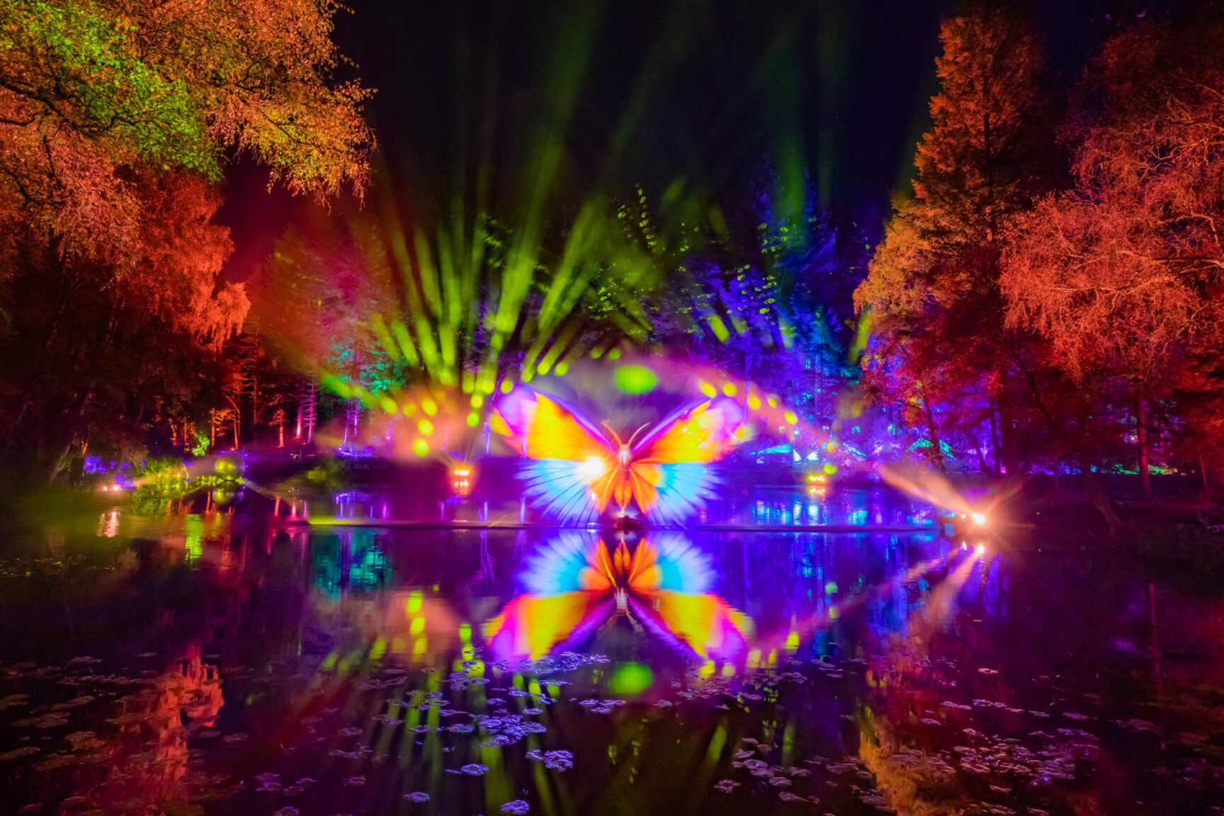 Pitlochry's Enchanted Forest: My sneak peek ahead of big opening - The ...