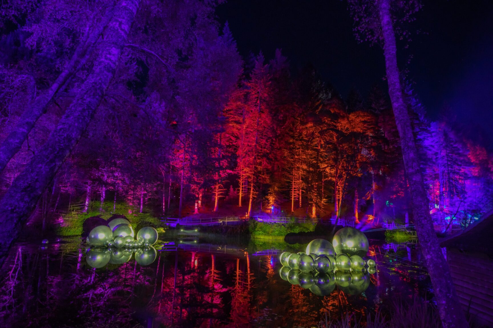 Pitlochry's Enchanted Forest: My sneak peek ahead of big opening - The ...