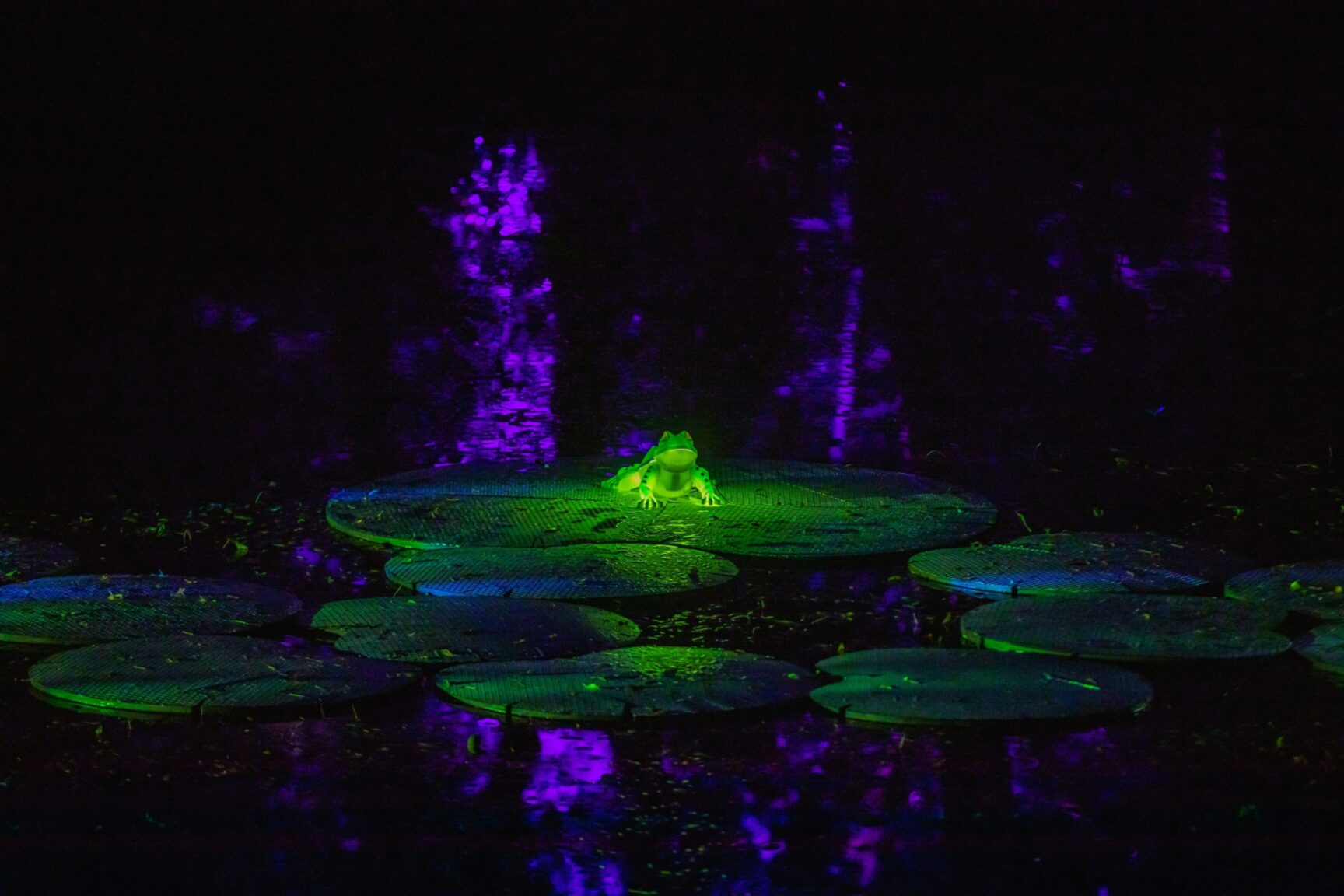 Pitlochry's Enchanted Forest: My sneak peek ahead of big opening - The ...