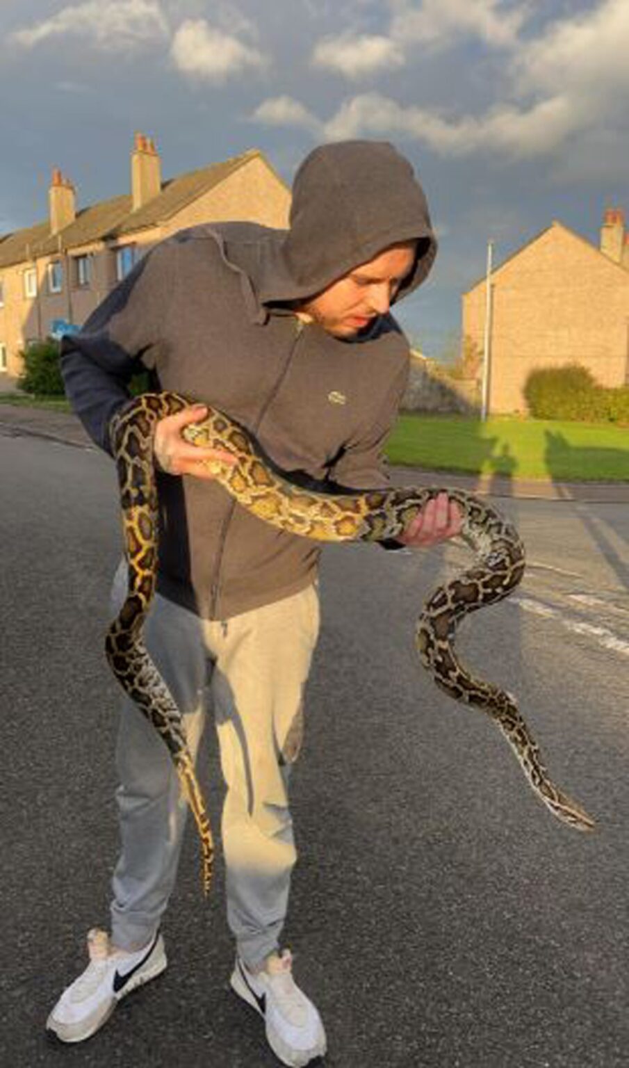 Shock as 'nine-foot python' found in Dunfermline street