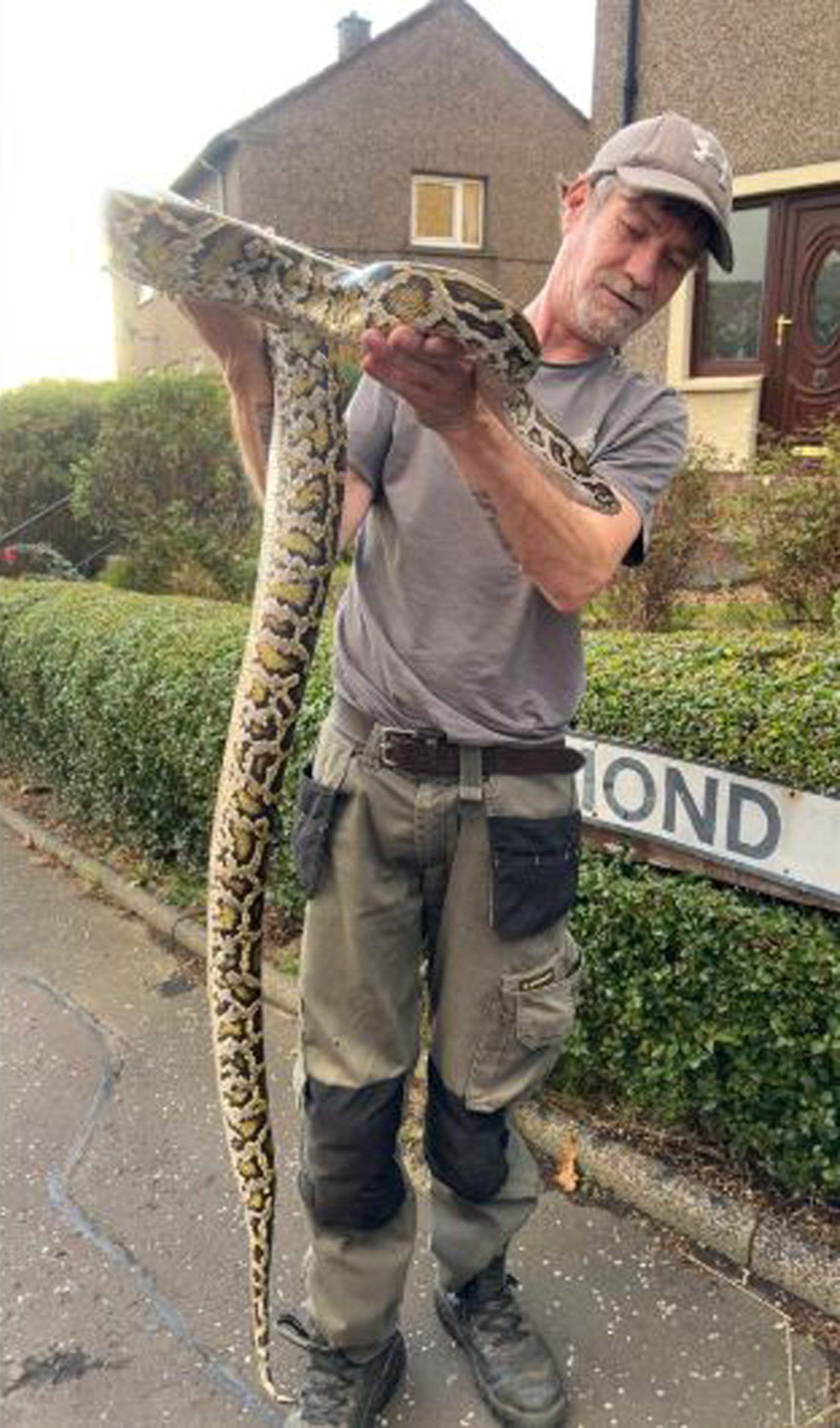 Shock as 'nine-foot python' found in Dunfermline street