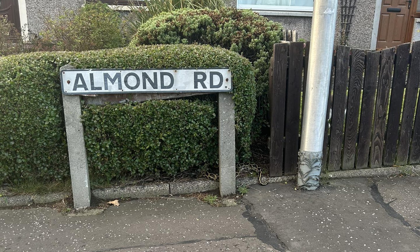 Shock as 'nine-foot python' found in Dunfermline street