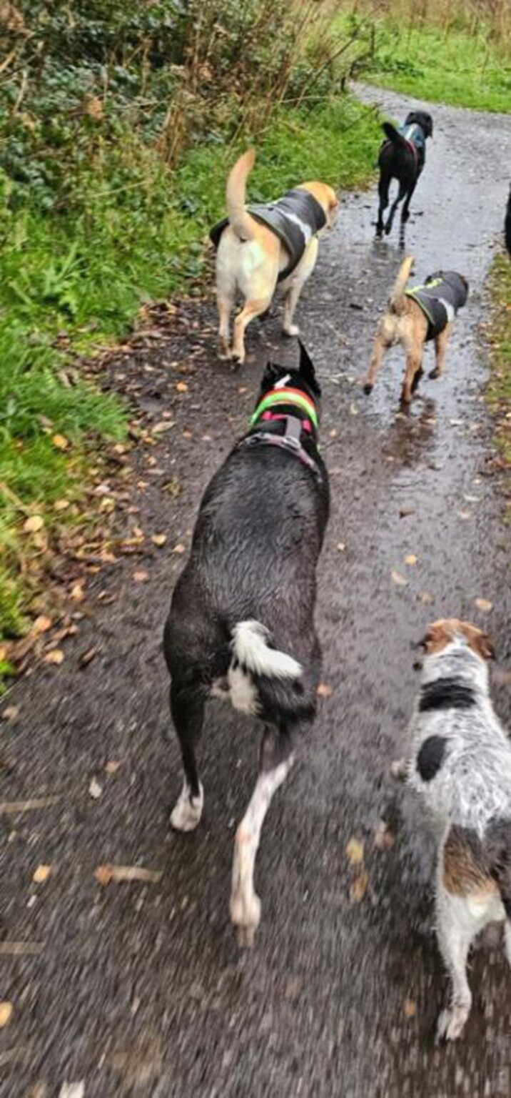 Fallin Stirling: A local’s guide to 5 of the best things about the village