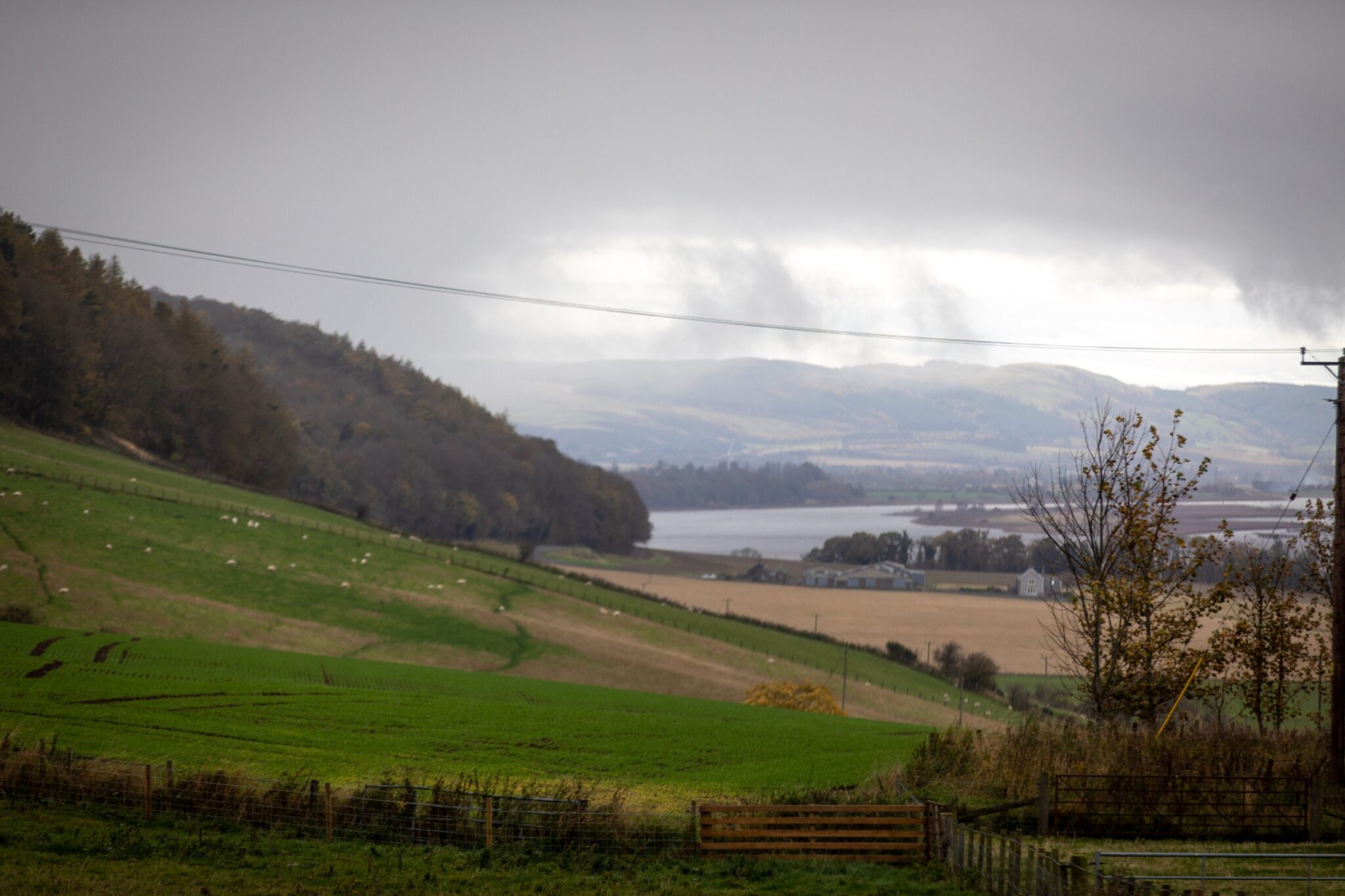 James Oswald: Why 'reclusive' author won't let go of Fife farm