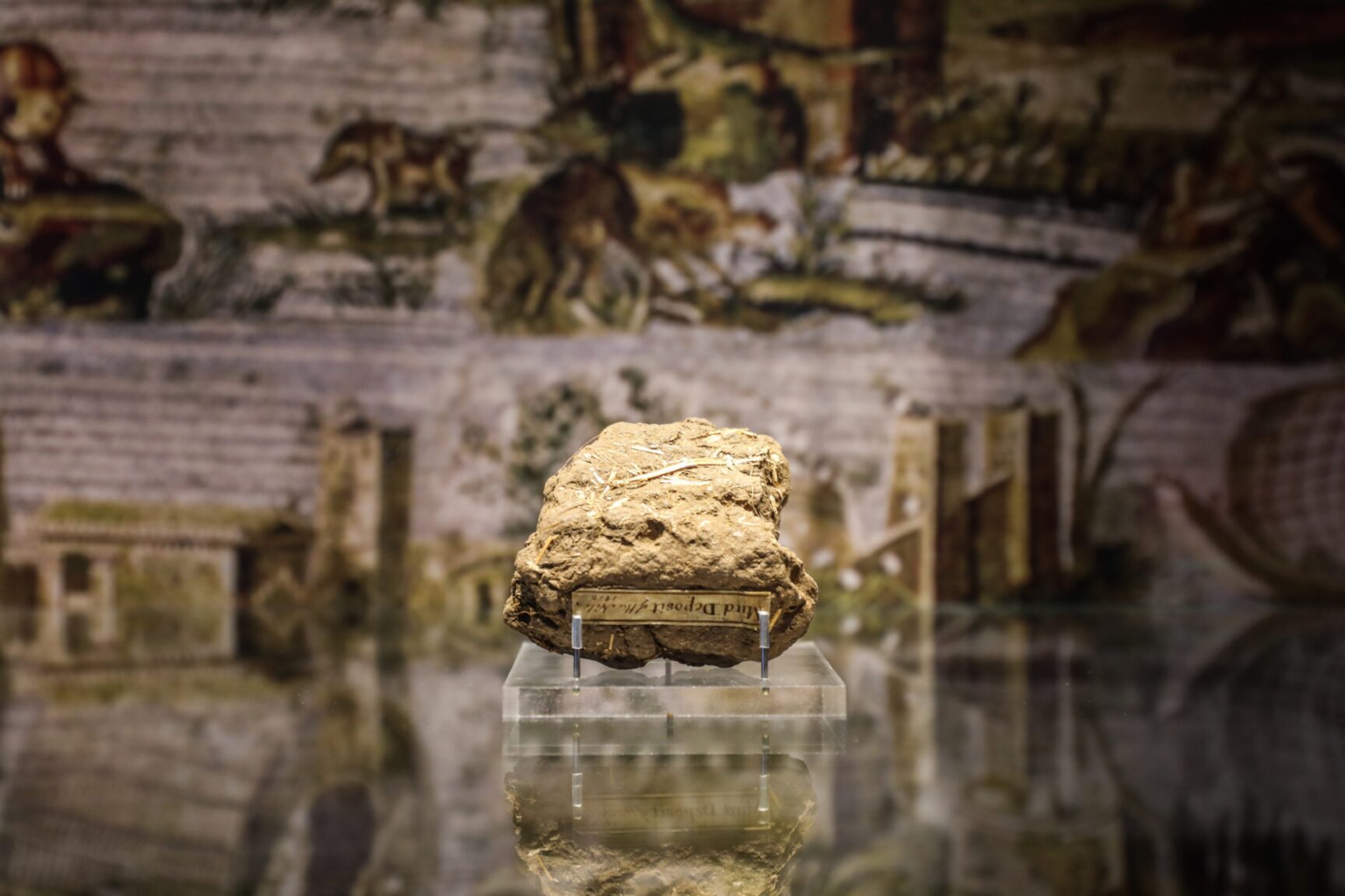 Perth Museum flooding exhibition: First look at new displays