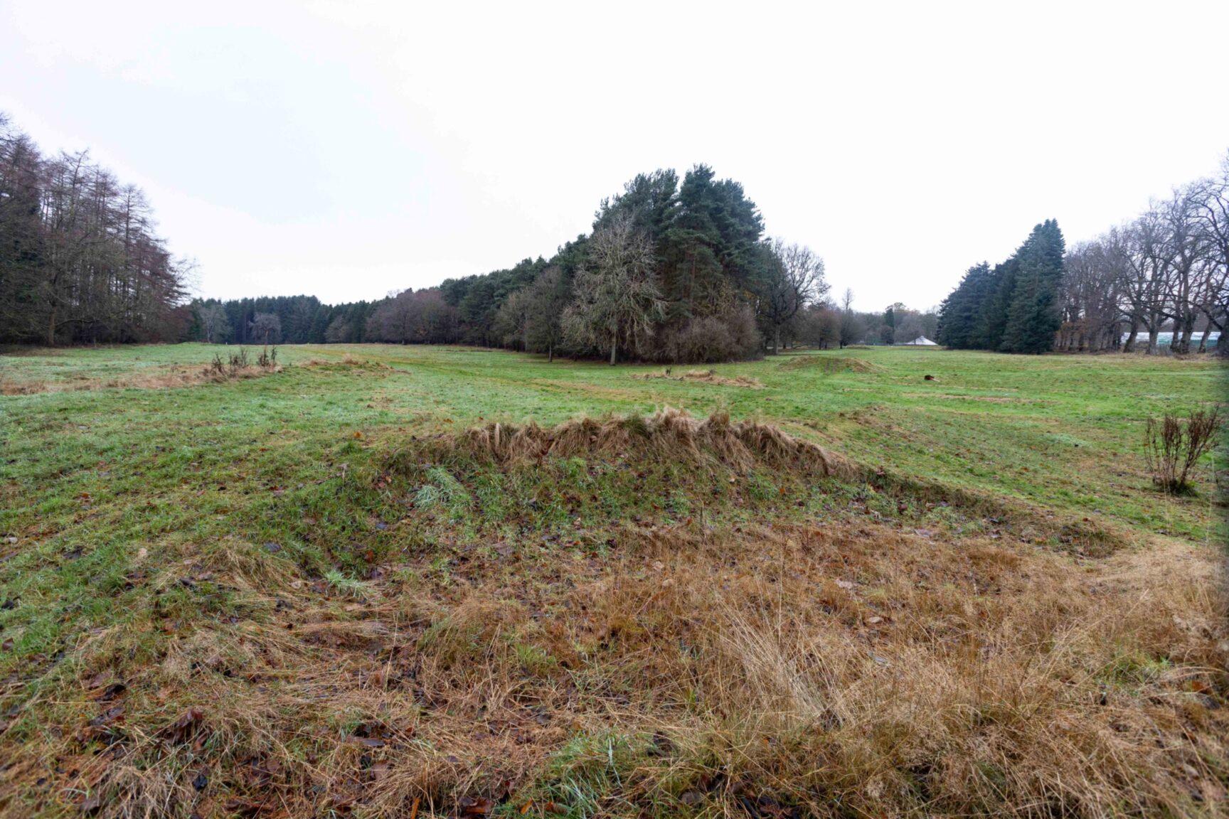 Pictures show state of abandoned Camperdown golf course