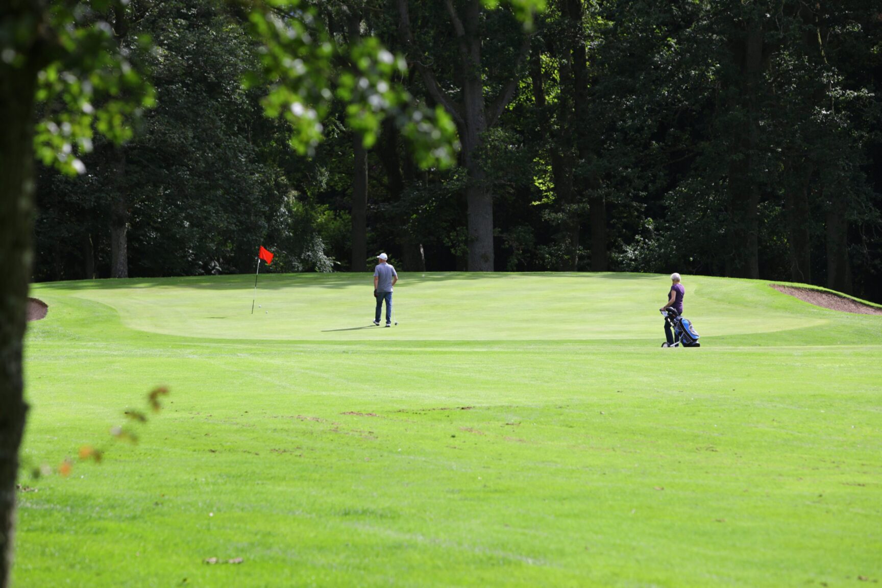 Pictures show state of abandoned Camperdown golf course