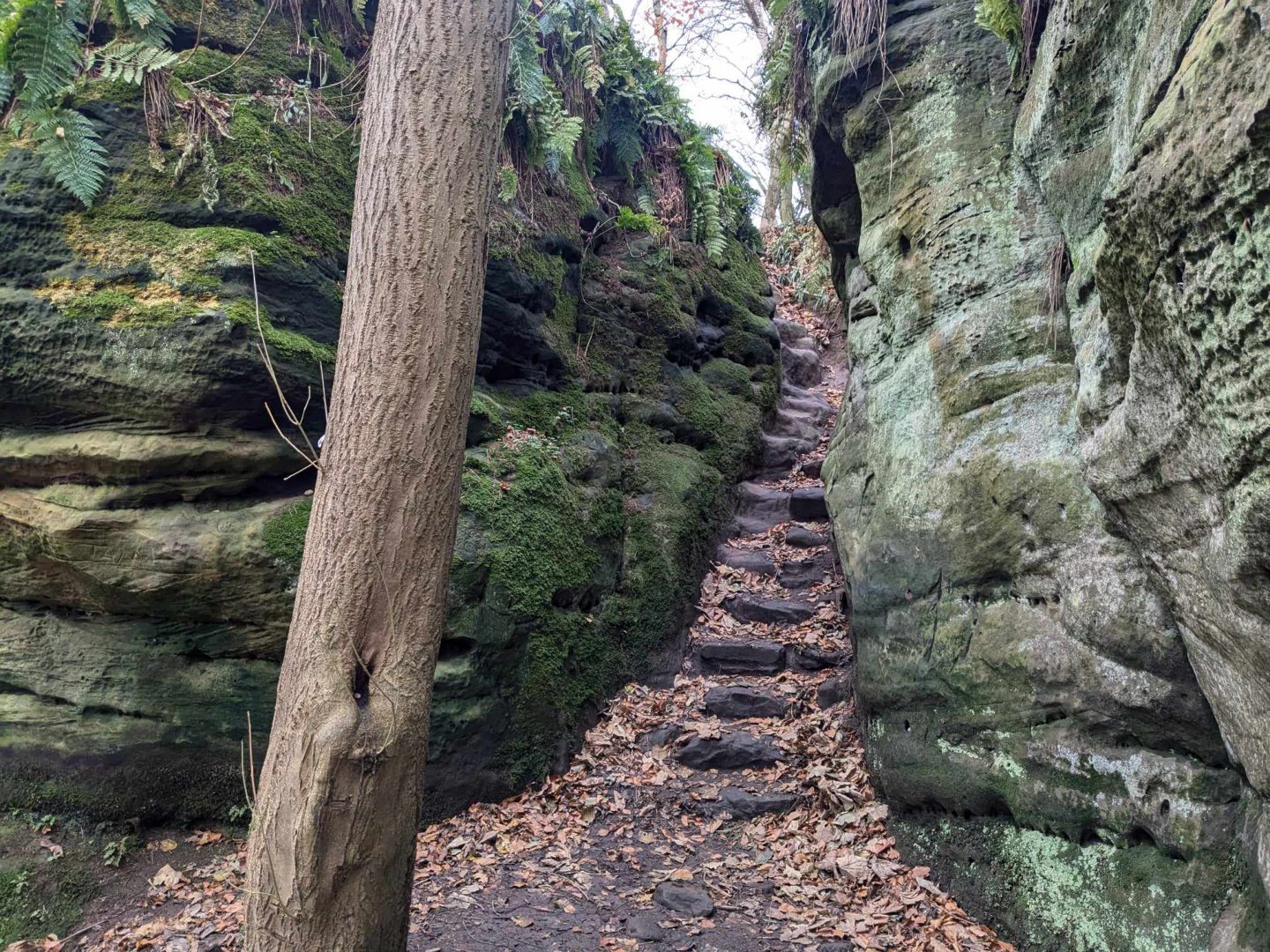 What did I find at enigmatic Dunino Den in Fife?