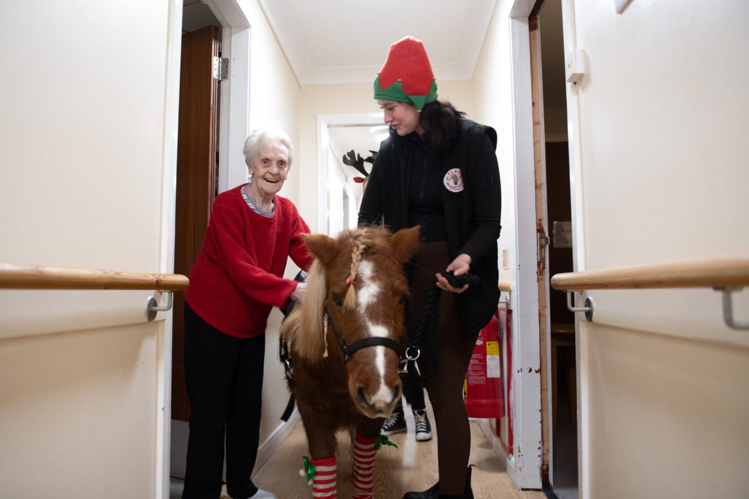 Dundee care home residents spellbound after miniature Shetland pony ...