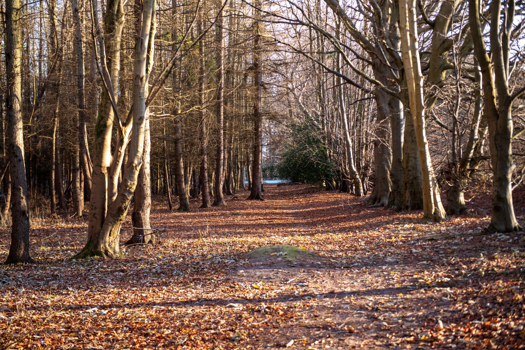 The forgotten third Caird Park golf course already abandoned