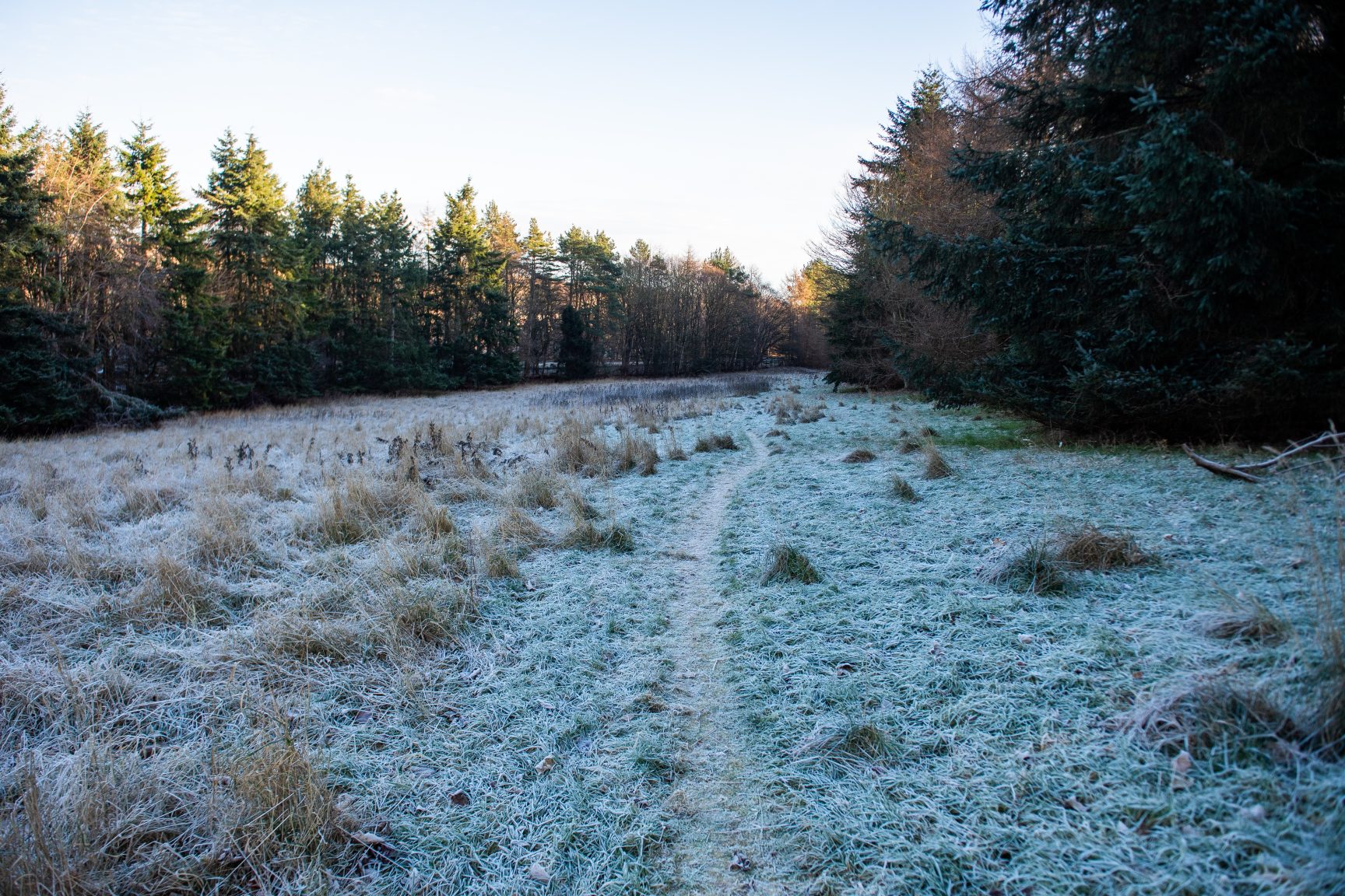 The forgotten third Caird Park golf course already abandoned