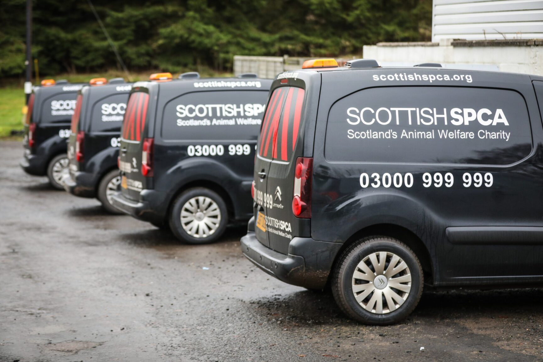 Scottish SPCA Tayside & Fife centre closed over Christmas