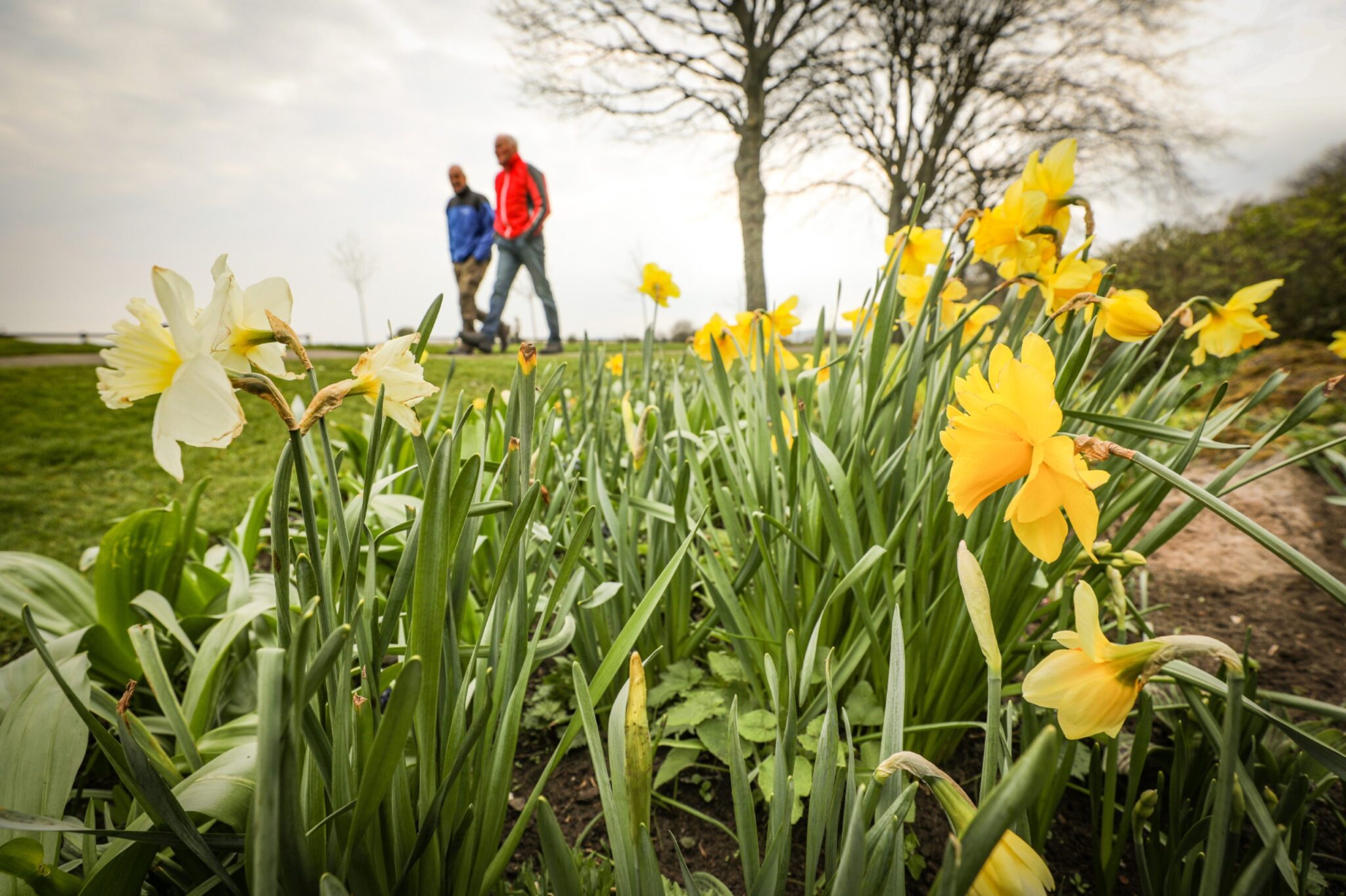 6 things to do in Broughty Ferry including castle and beach visits