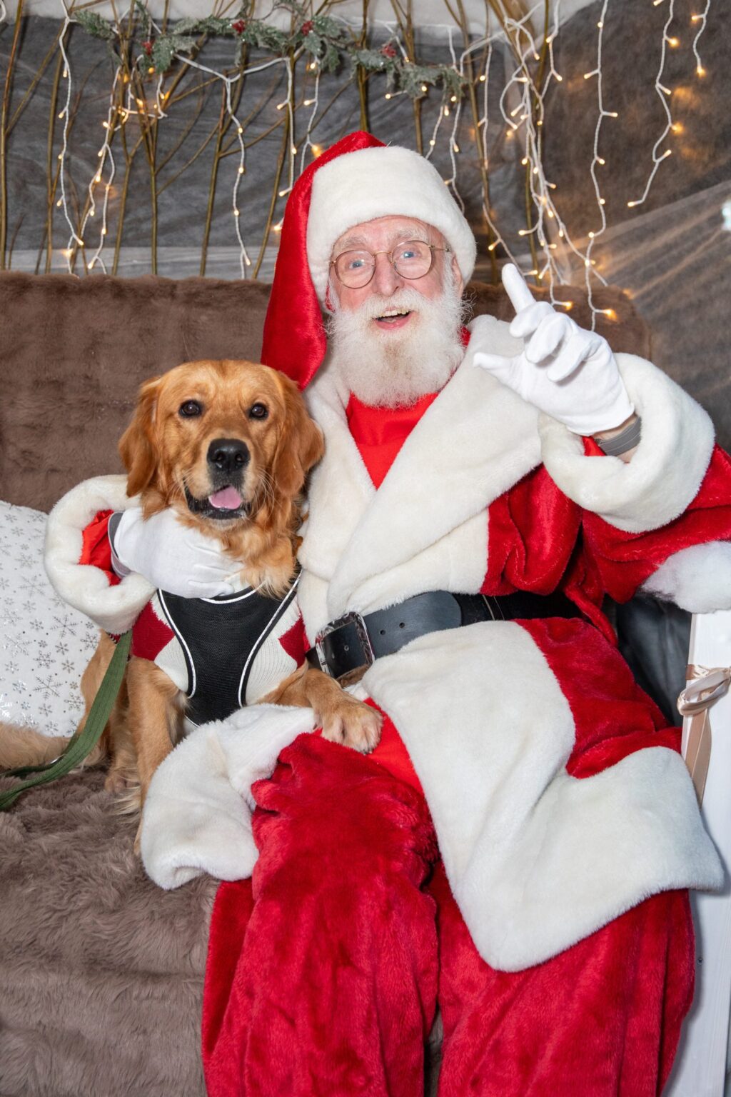 Dogs meeting Santa: Adorable photos of good boys and girls