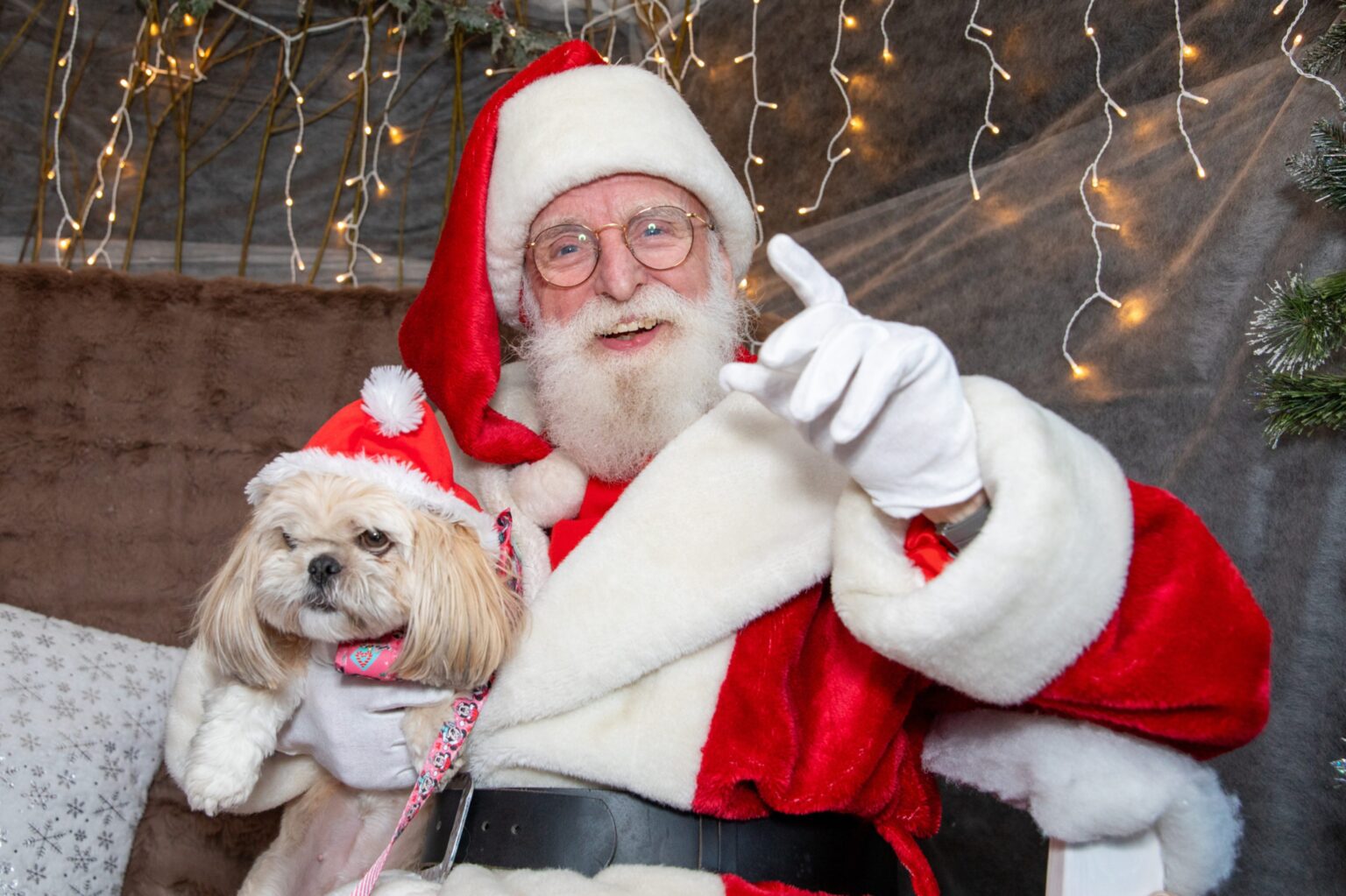 Dogs meeting Santa: Adorable photos of good boys and girls