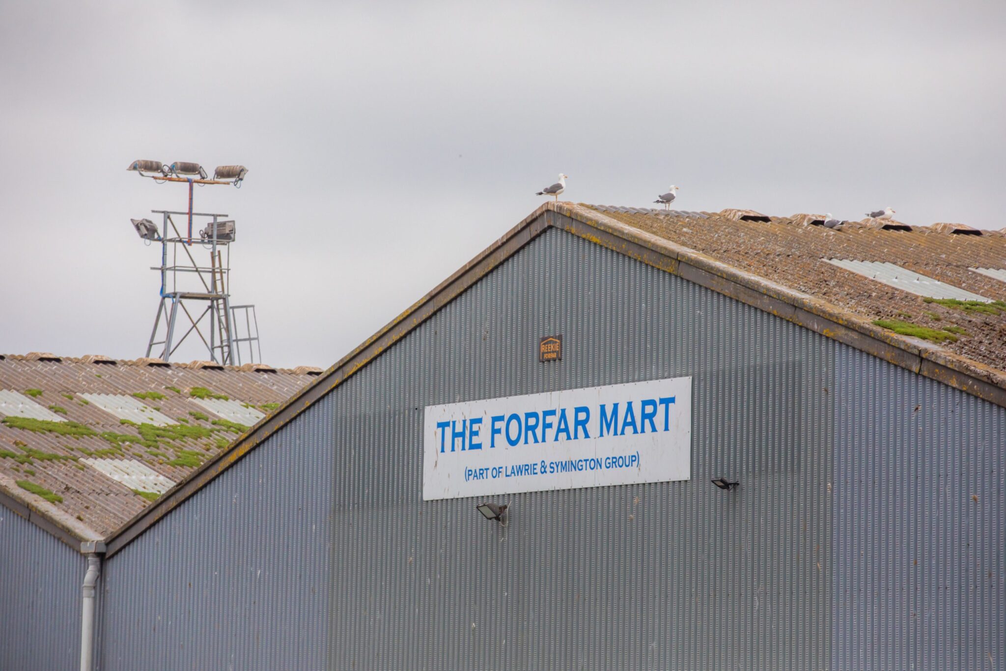 Angus Planning: Hospitalfield study centre and Tealing substation