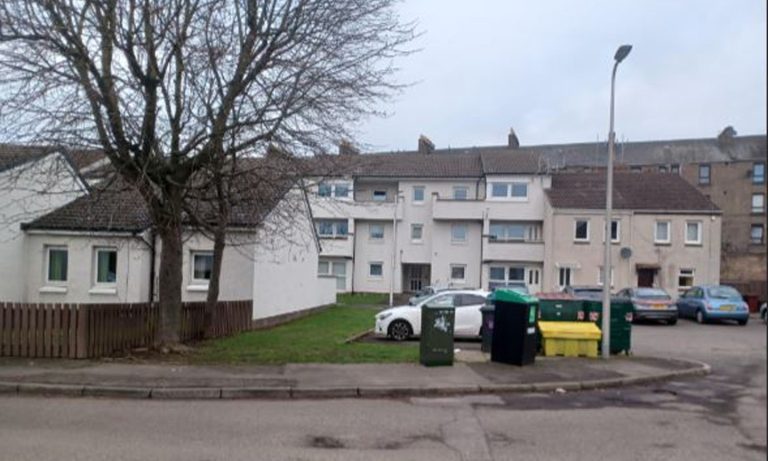 Woman hospitalised after Stobswell 'disturbance'