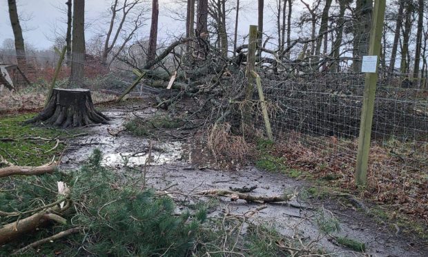 Fife's Scottish Deer Centre damaged in Storm Eowyn