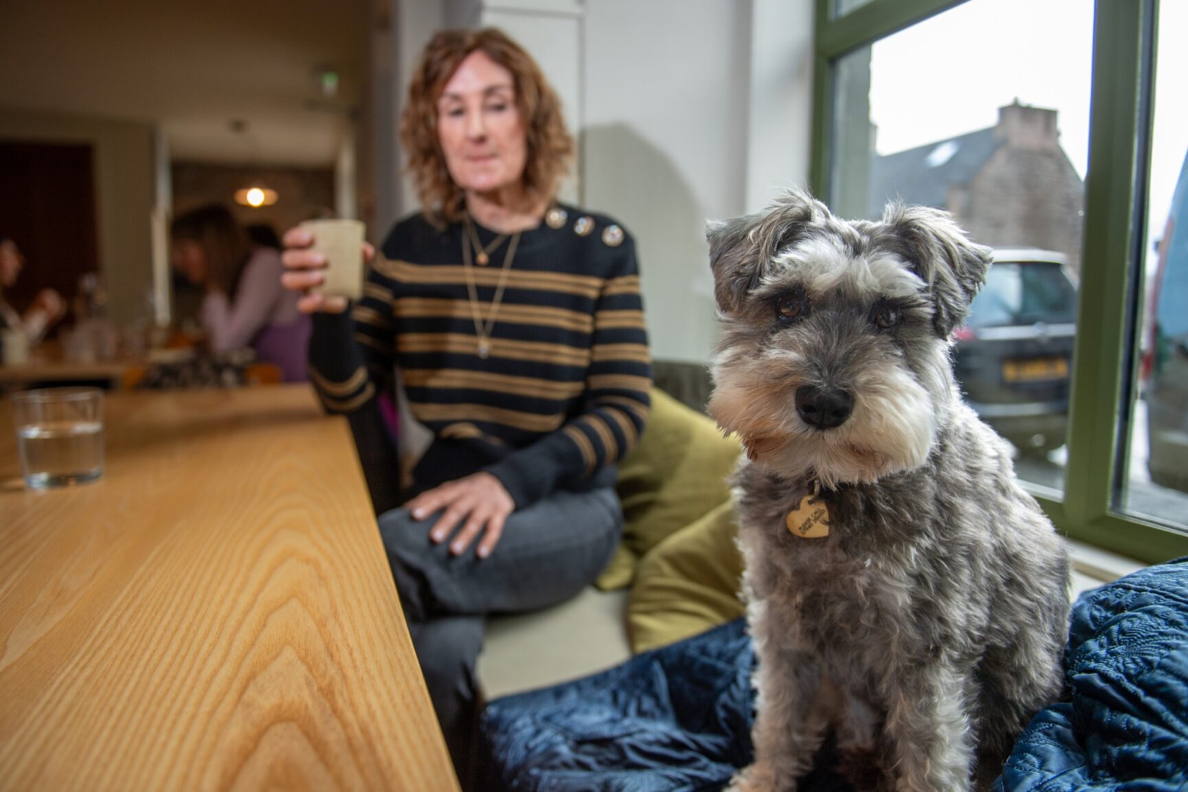 Is it time to ban dogs from Dundee's cafes?