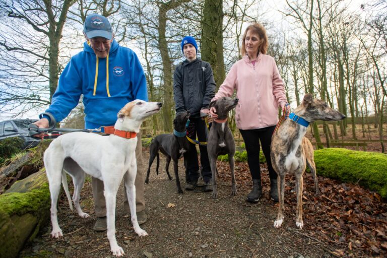 This Gairneybank woman has rehomed almost 2,000 greyhounds - how did ...
