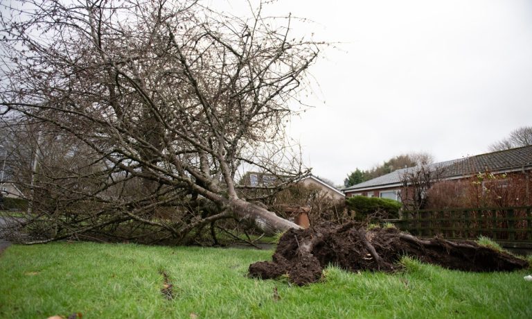 Storm Eowyn in Dundee: Pictures and video capture weather chaos