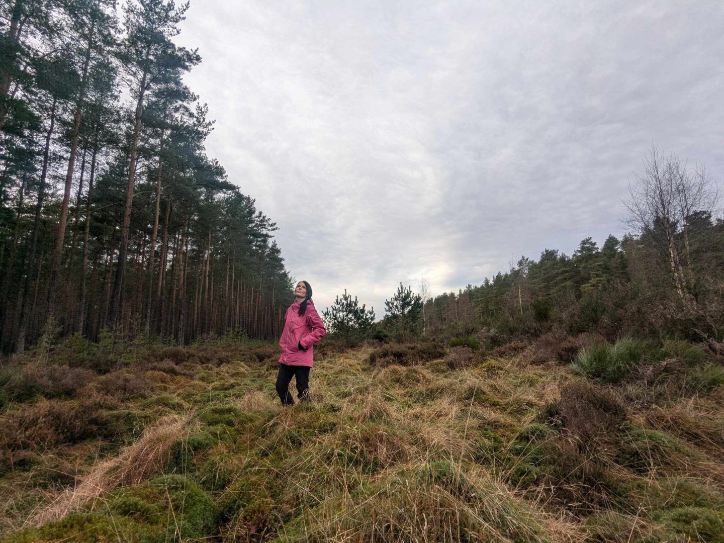 What is the Cleaven Dyke of Meikleour - and how do you find it?