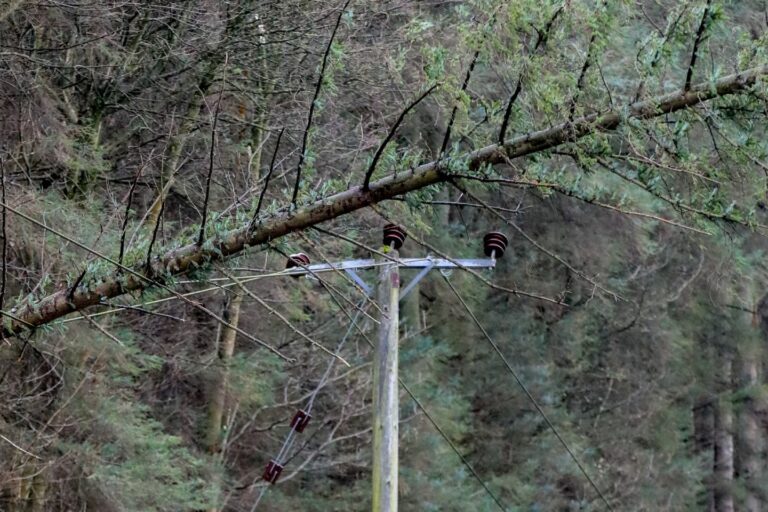 Storm Eowyn in Fife: Pictures and video as winds batter Kingdom