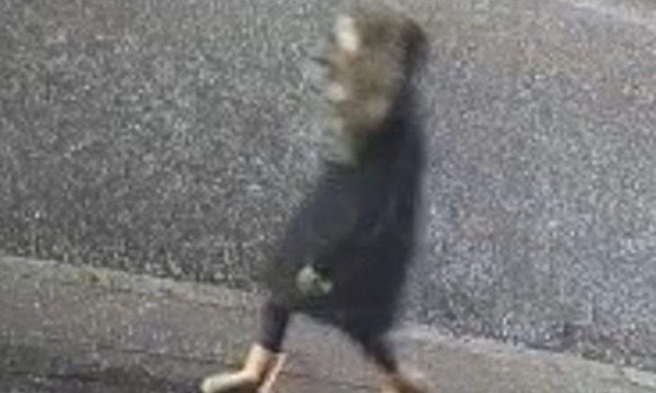 Norma Sinclair: New sighting of missing Dunfermline pensioner