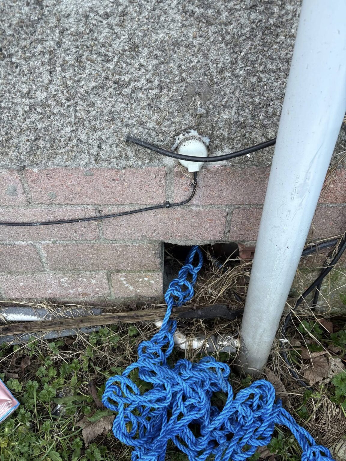 Dundee cat rescued after FIVE days trapped underground