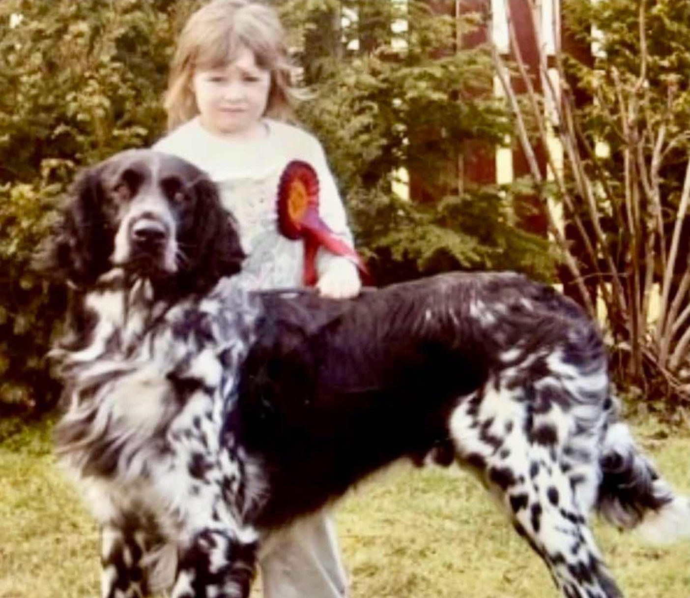 Carnoustie Crufts veteran Erin on being in the world famous show