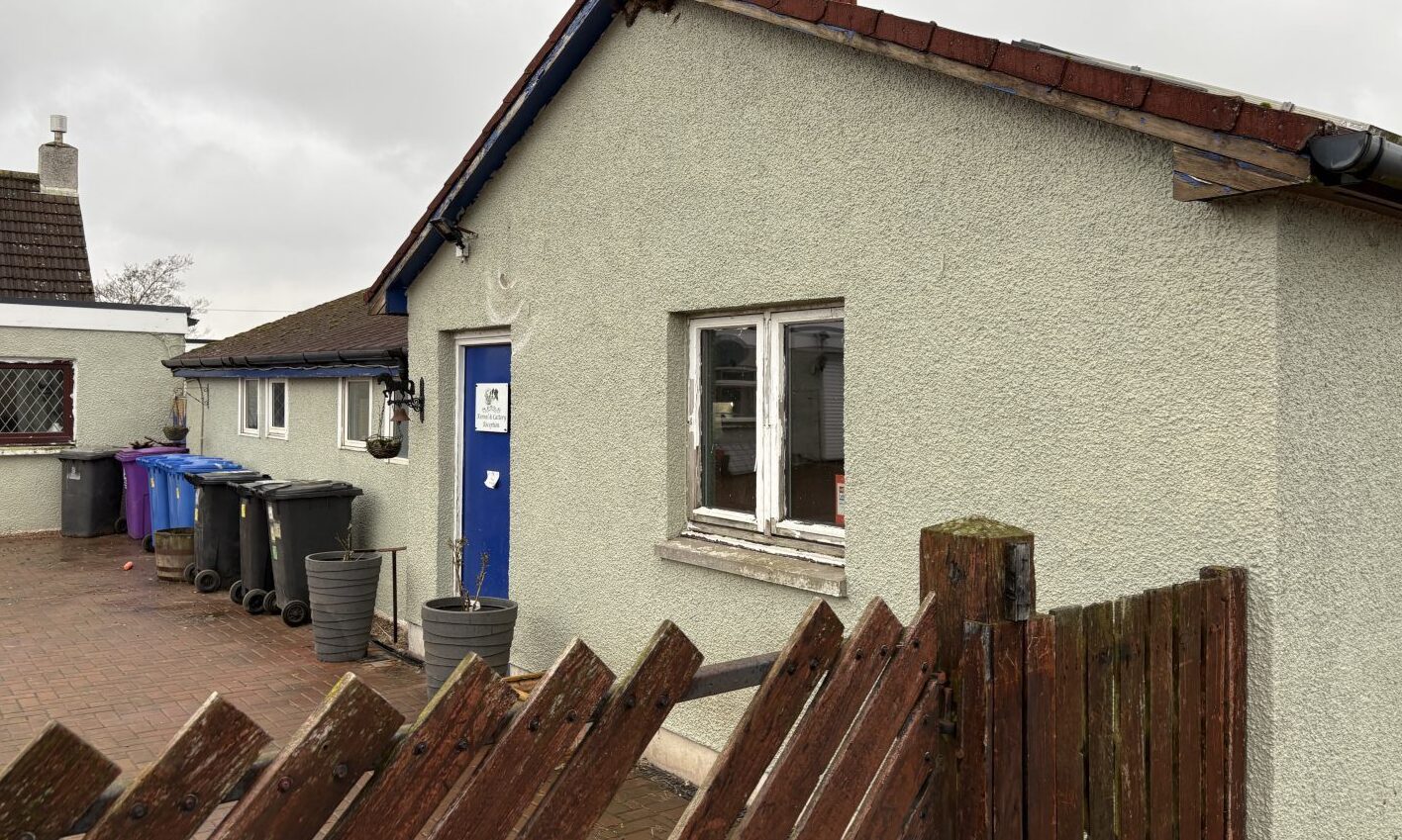 What dogs are being kept at unlicensed Angus XL Bully sanctuary?