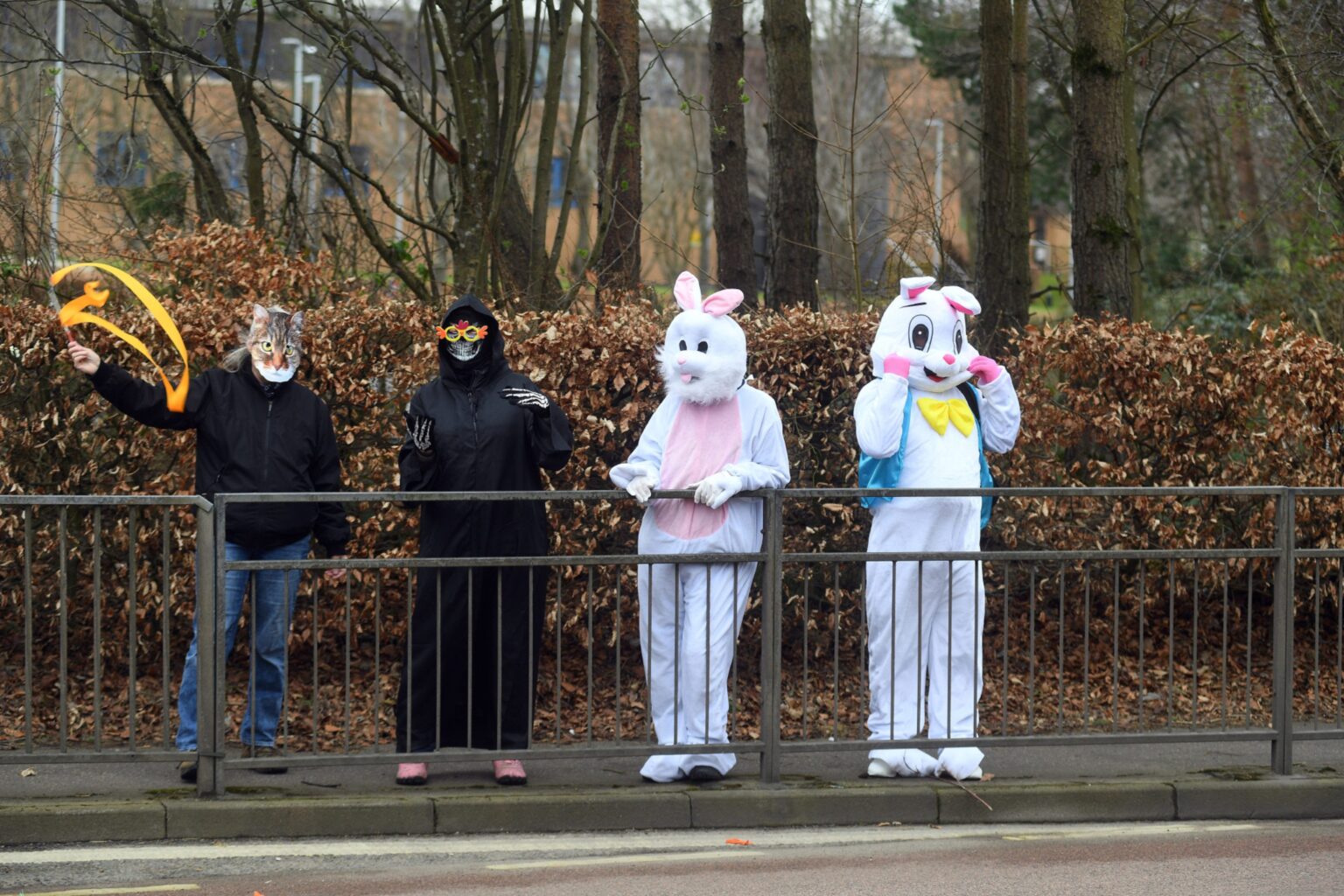 Elmwood protest as students campaign against proposed cuts