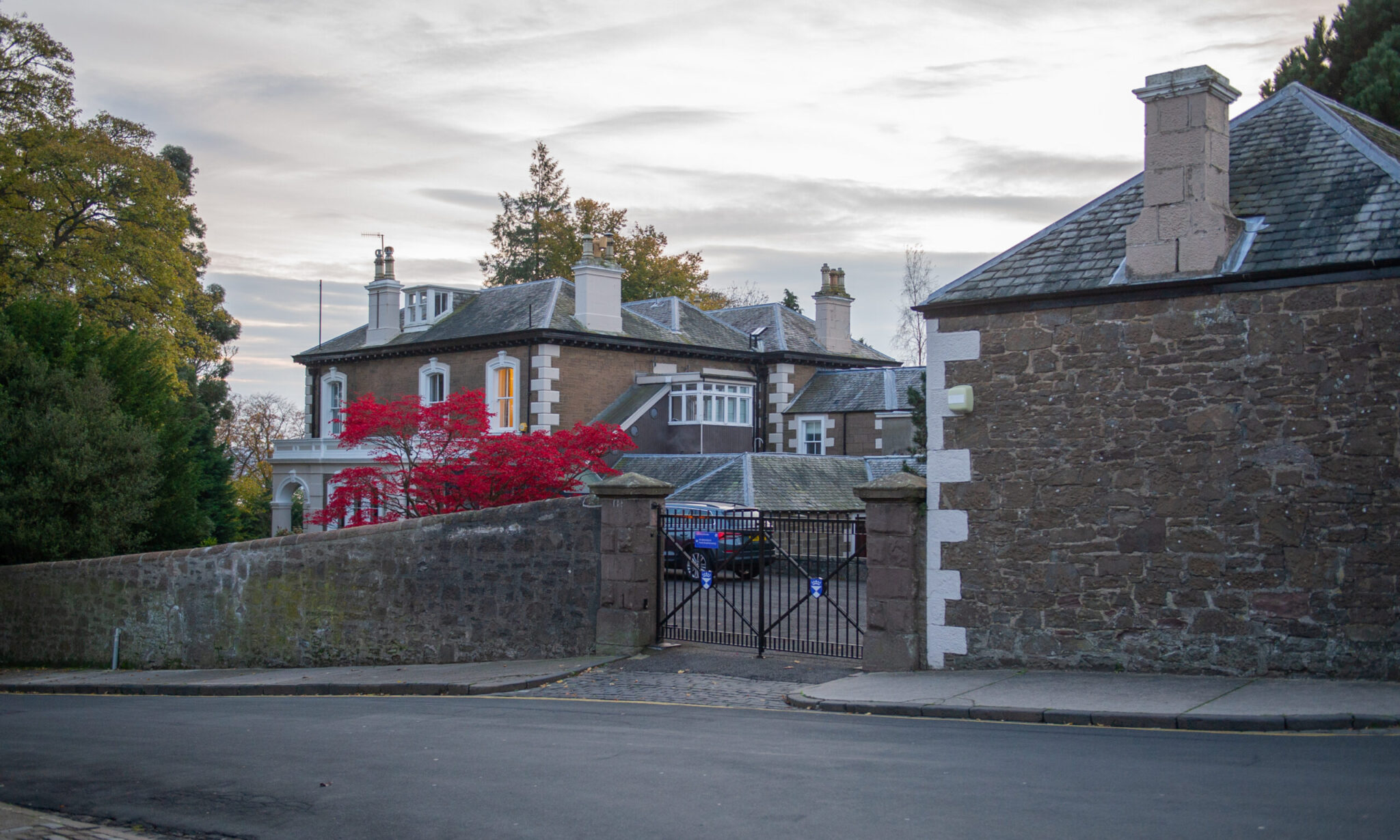 Sheli McCoy: Inside Dundee Gladiators star Sabre's rise to fame