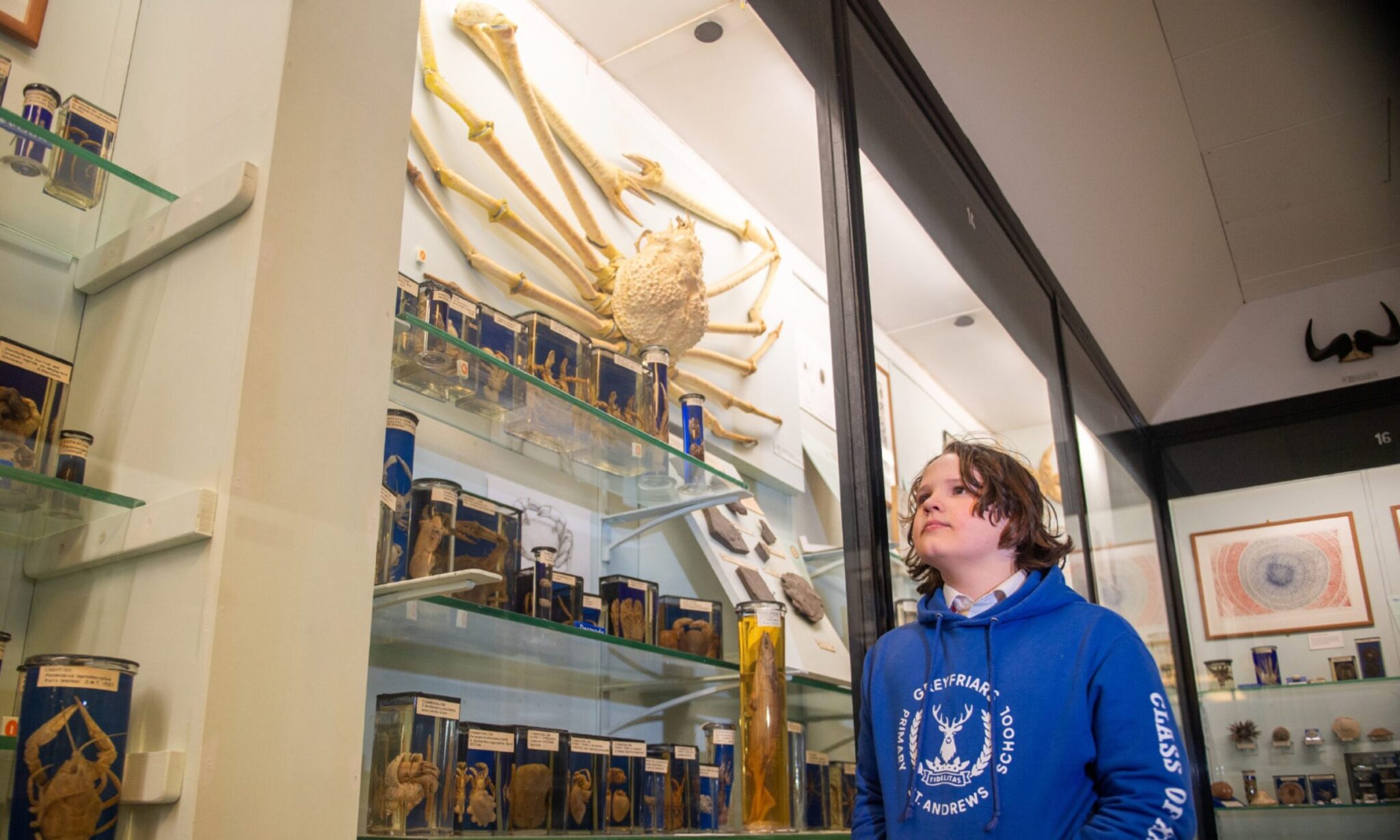 Bell Pettigrew Museum St Andrews offers quirky family day out